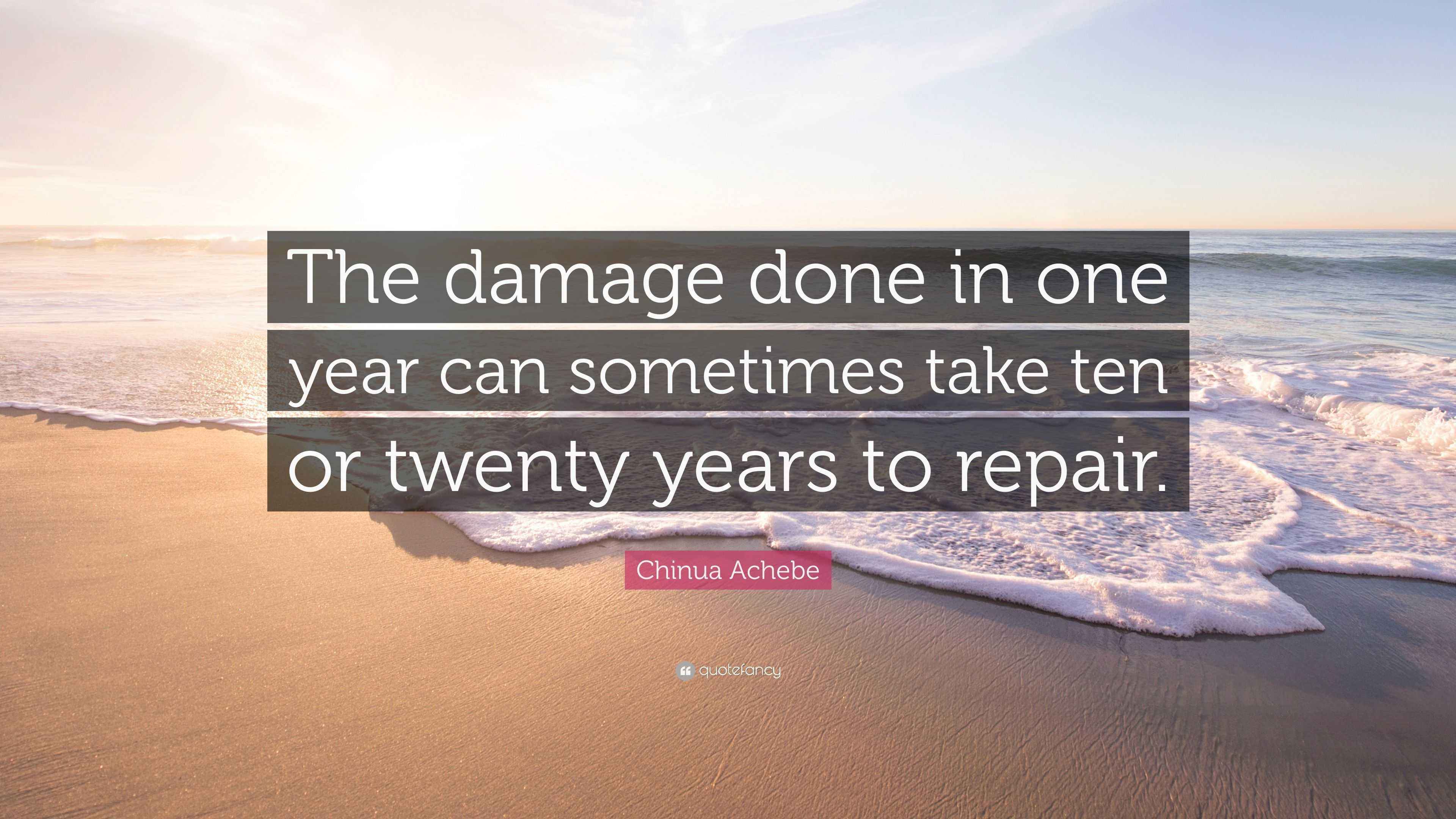 Chinua Achebe Quote: “The damage done in one year can sometimes take ...