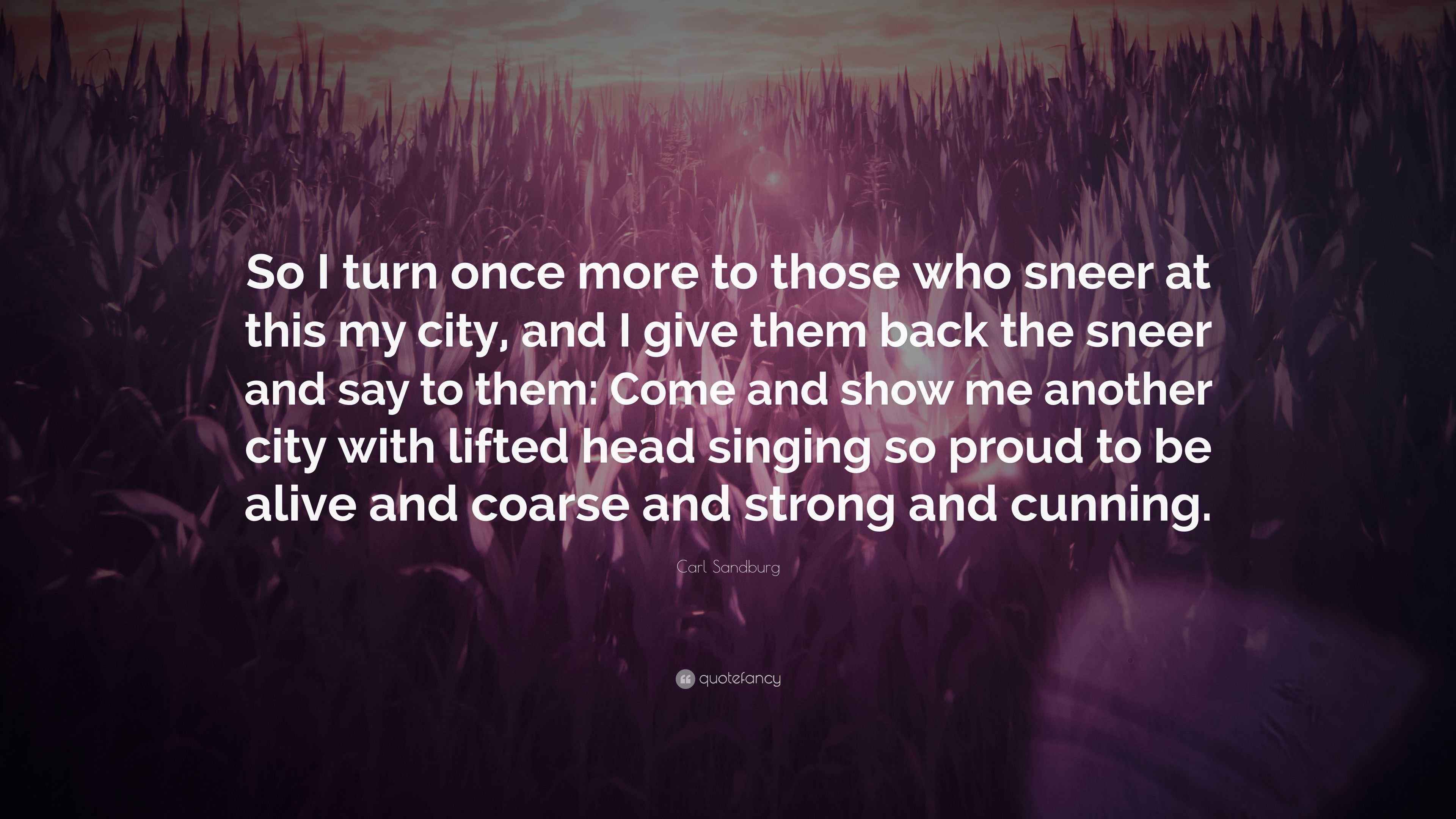 Carl Sandburg Quote: “So I turn once more to those who sneer at this my ...