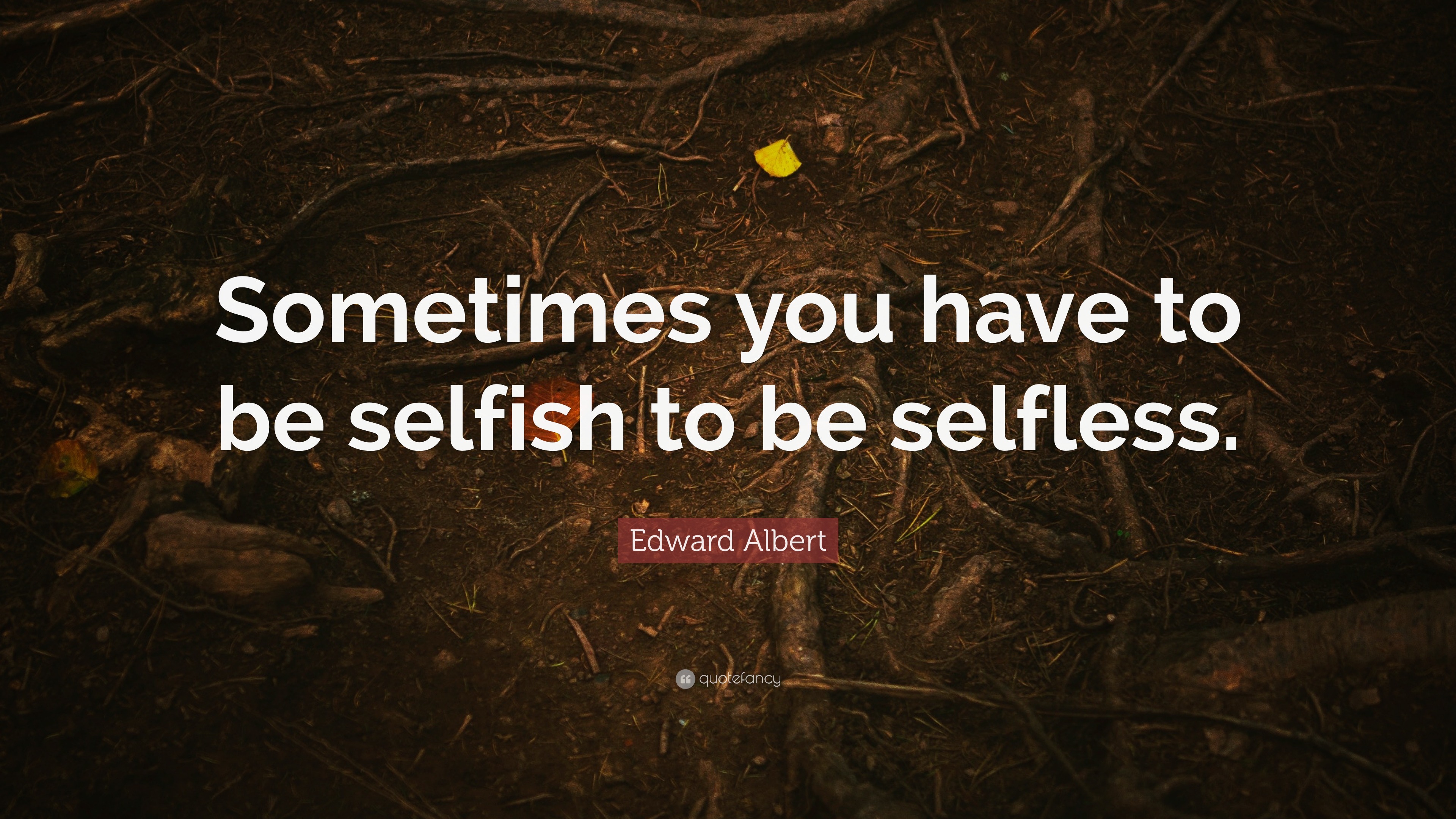 Edward Albert Quote: “Sometimes you have to be selfish to be selfless.”