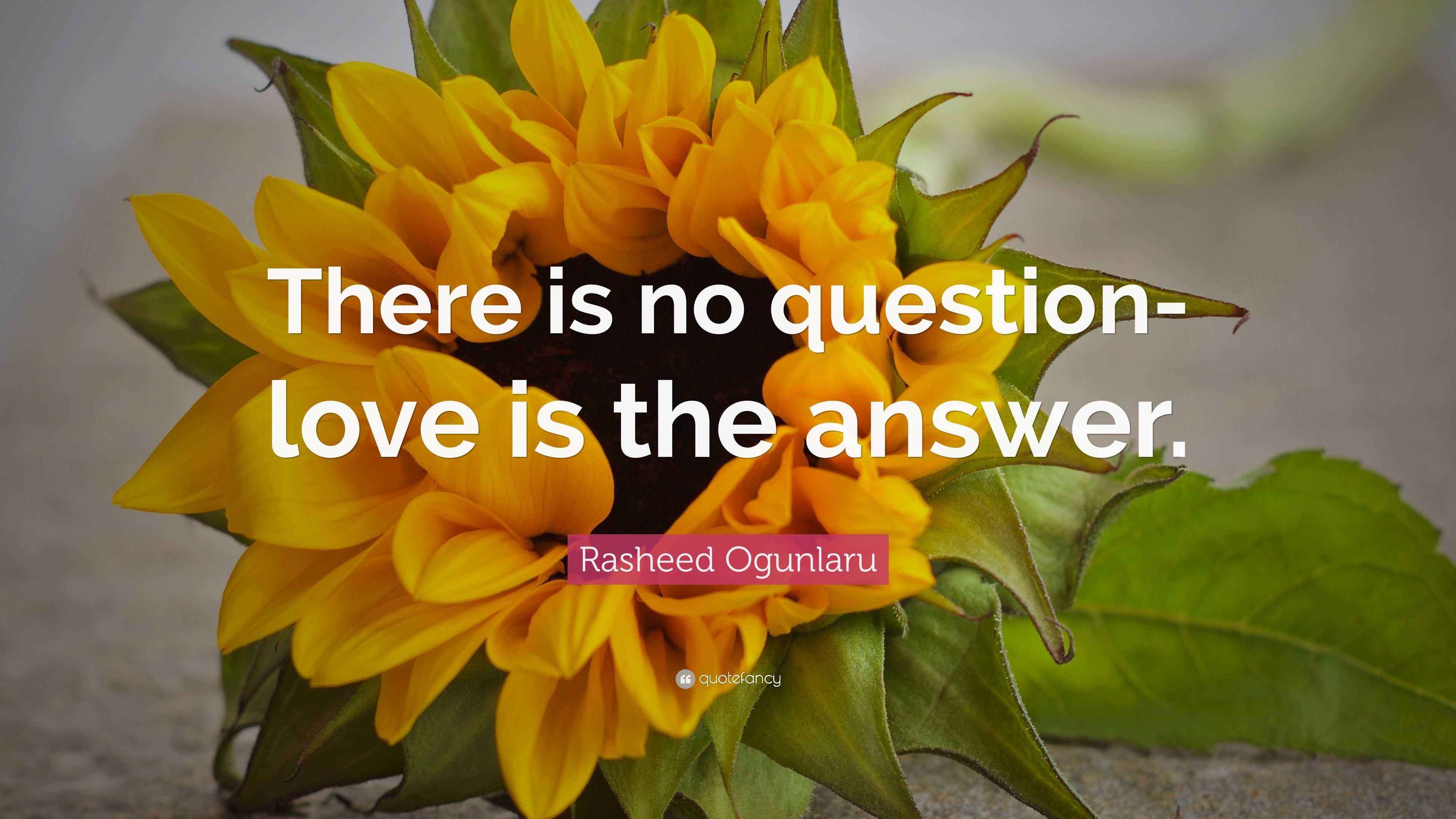 Rasheed Ogunlaru Quote: “There is no question- love is the answer.”