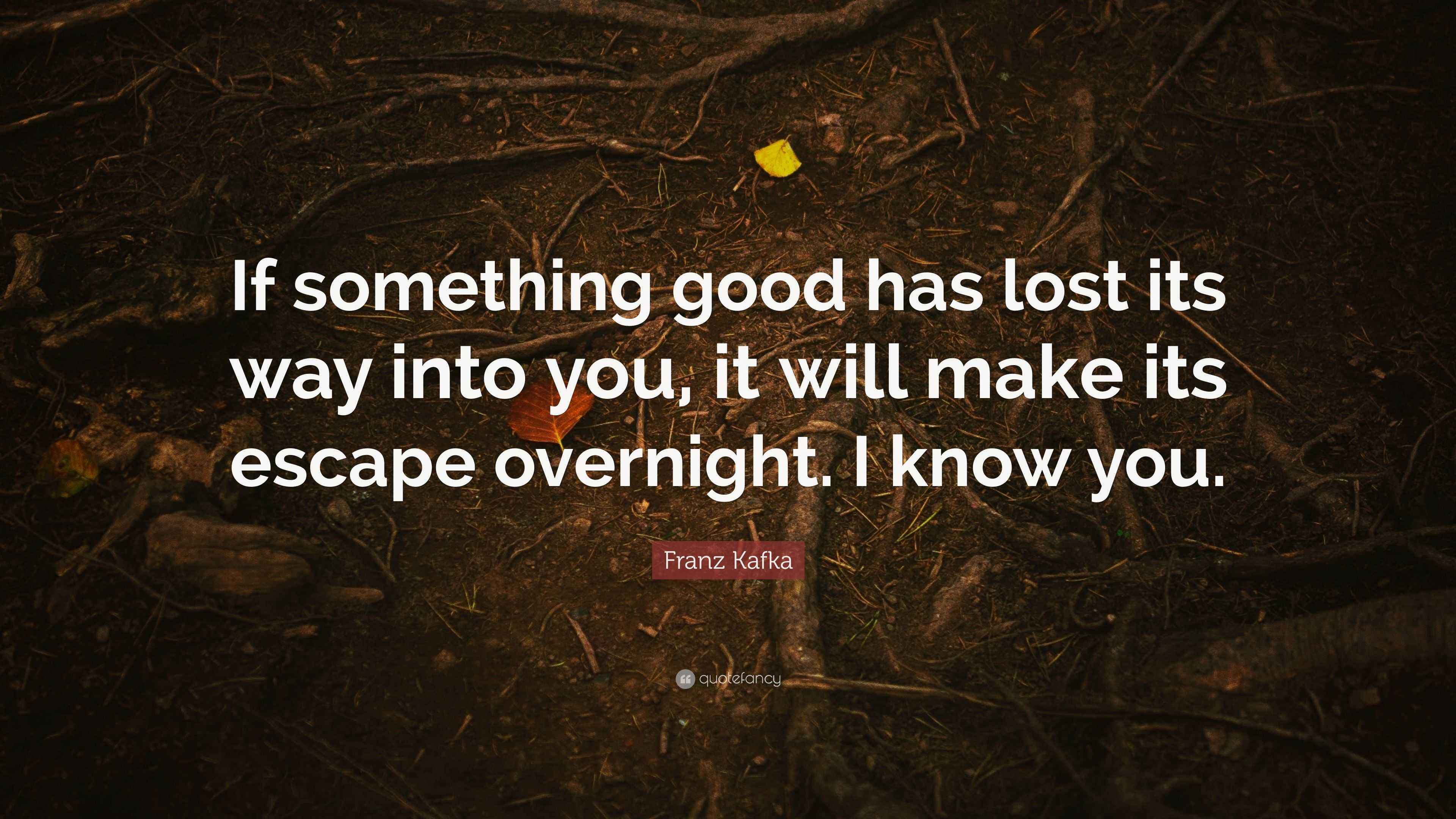 Franz Kafka Quote: “If something good has lost its way into you, it ...