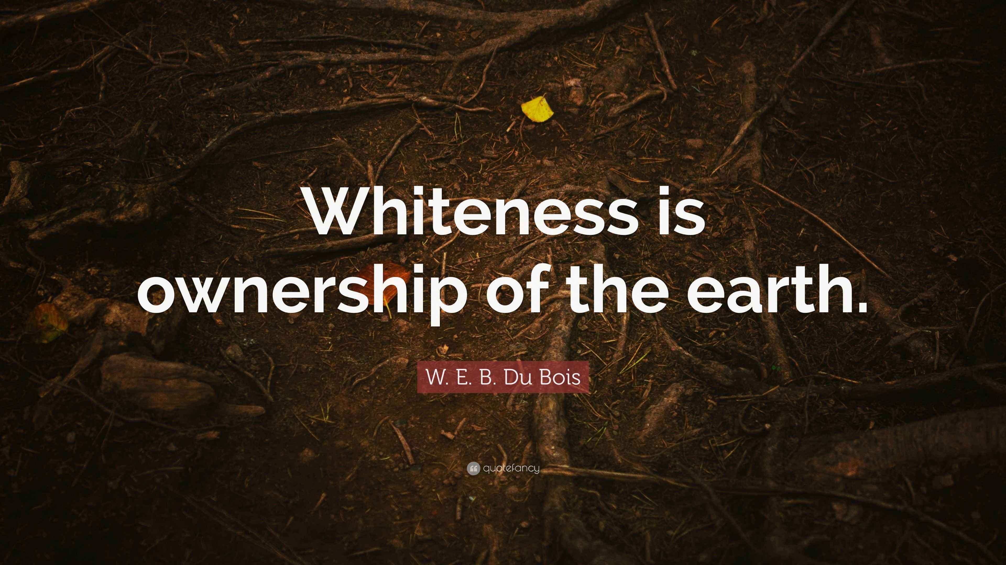 W. E. B. Du Bois Quote: “Whiteness is ownership of the earth.”