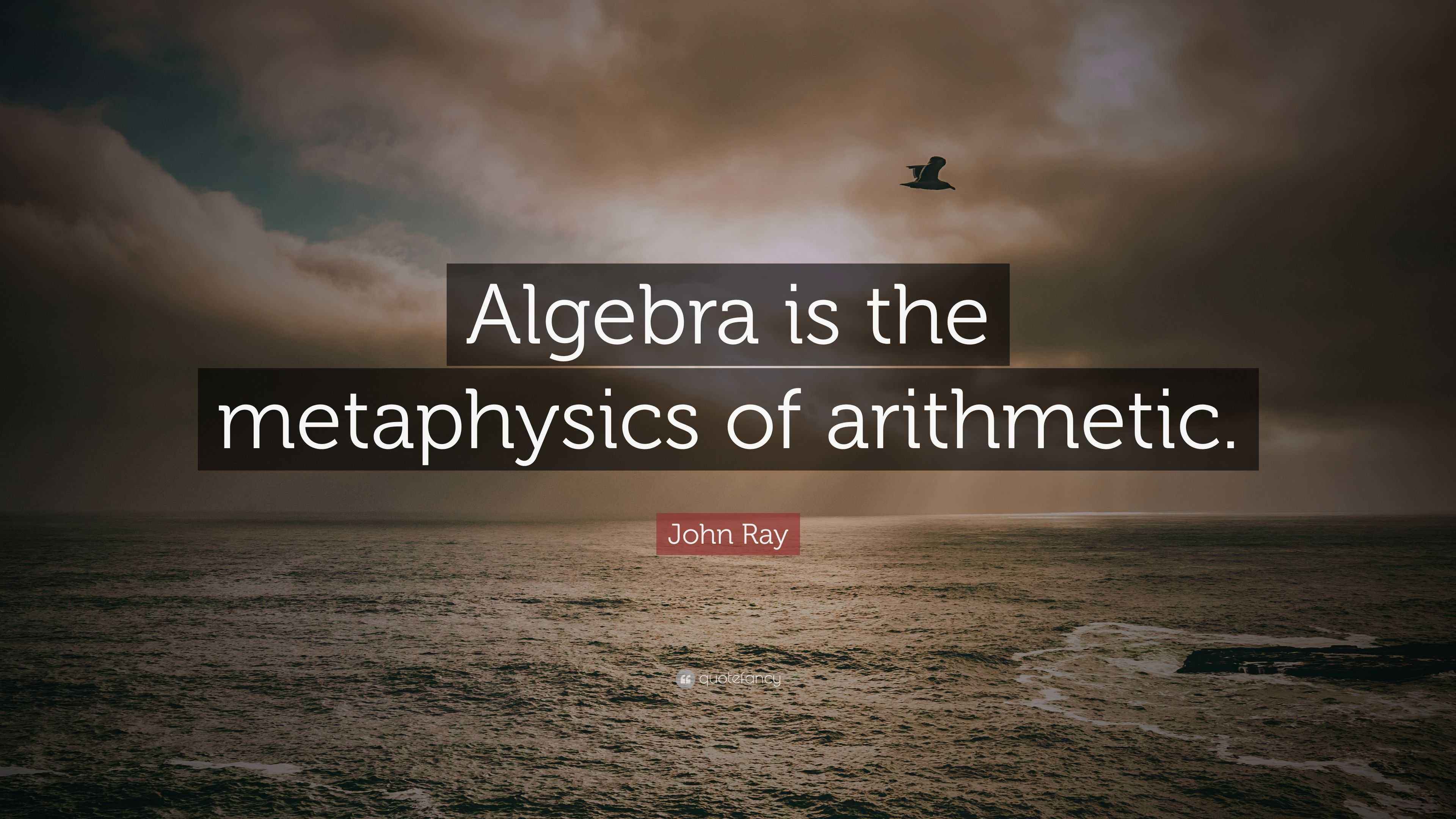 John Ray Quote: “Algebra is the metaphysics of arithmetic.”