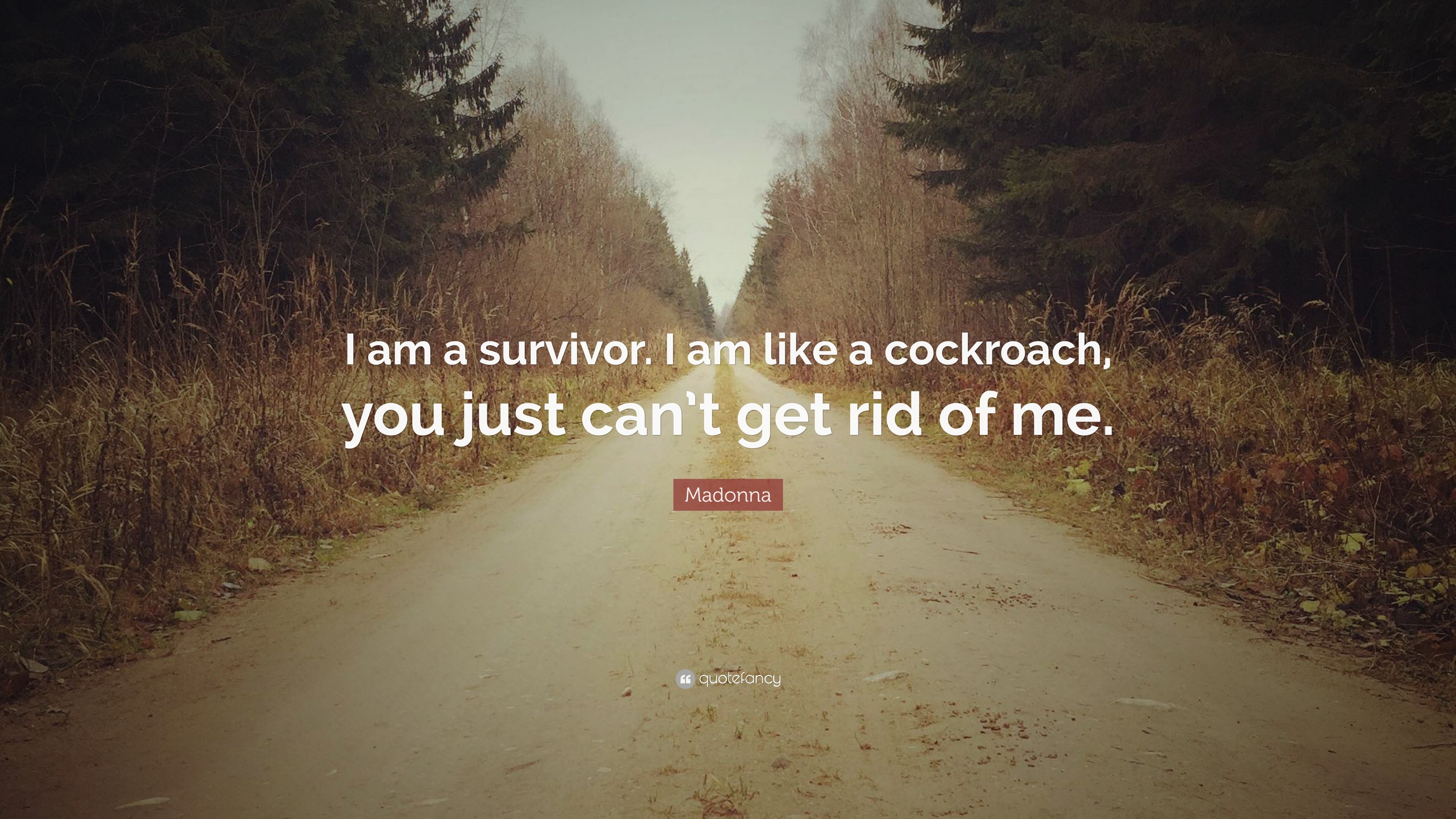 Madonna Quote: “I am a survivor. I am like a cockroach, you just can’t ...