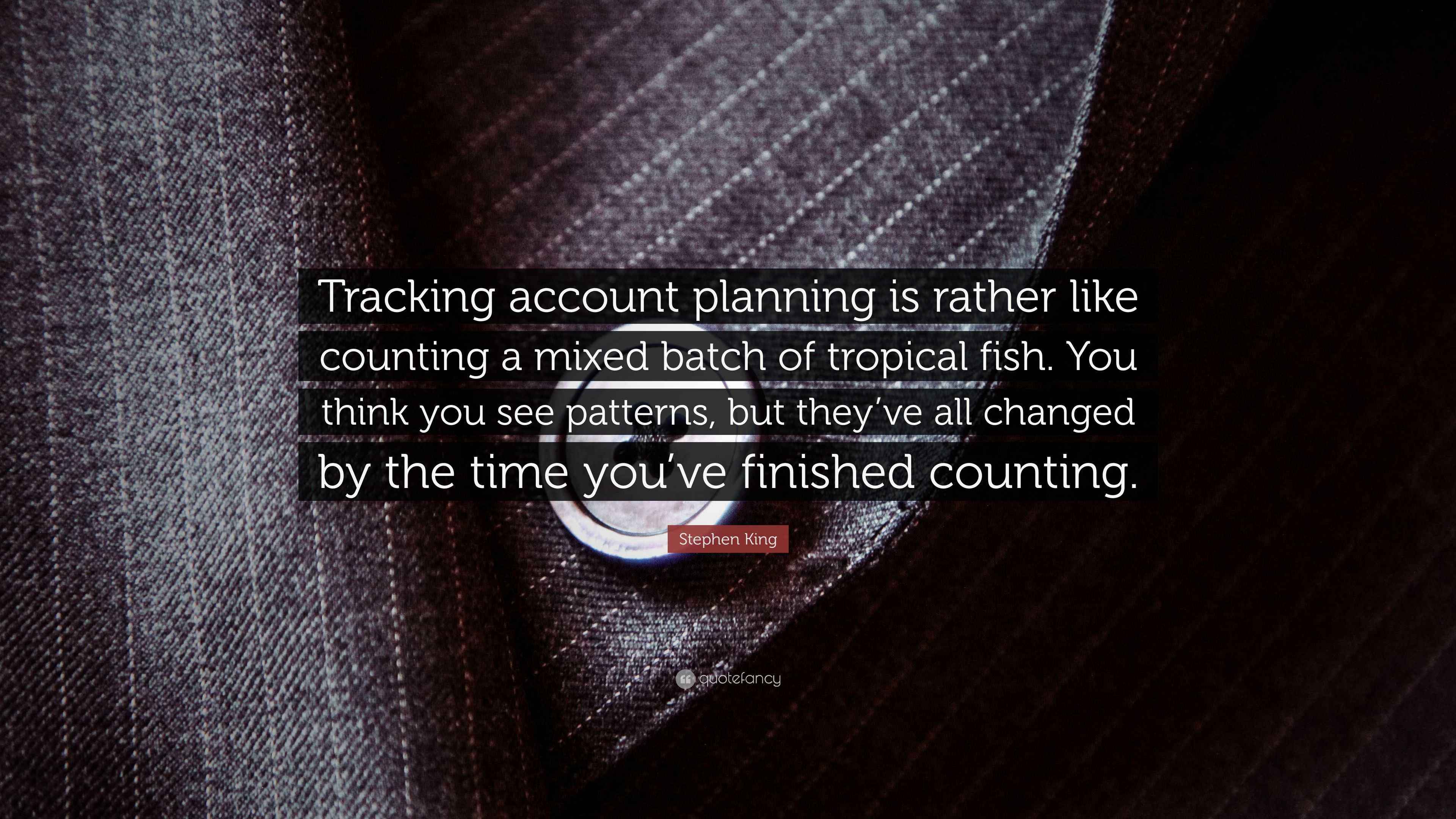 Stephen King Quote: “Tracking account planning is rather like counting ...