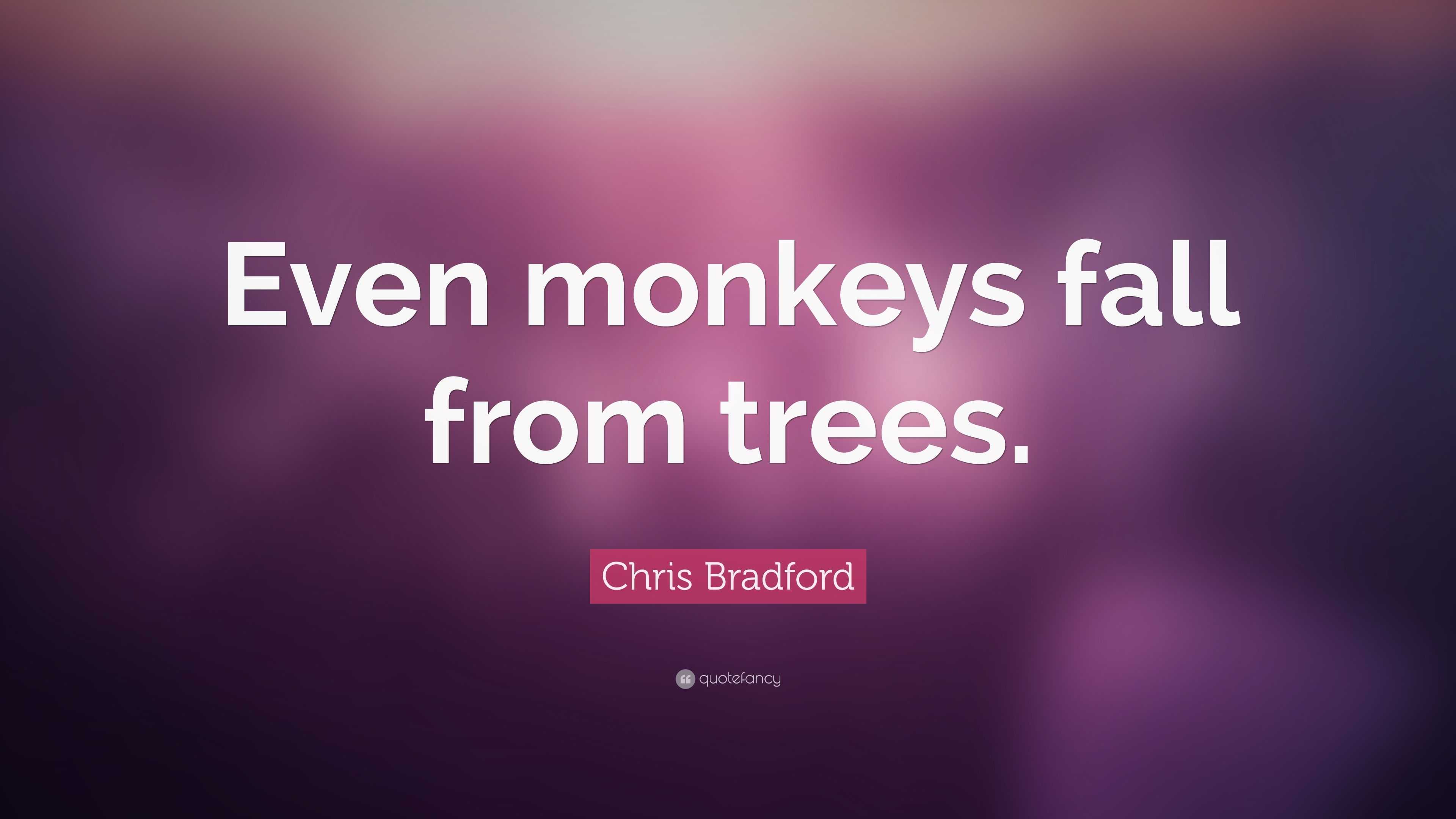 Japanese Proverb Quote: “Even monkeys fall from trees.”