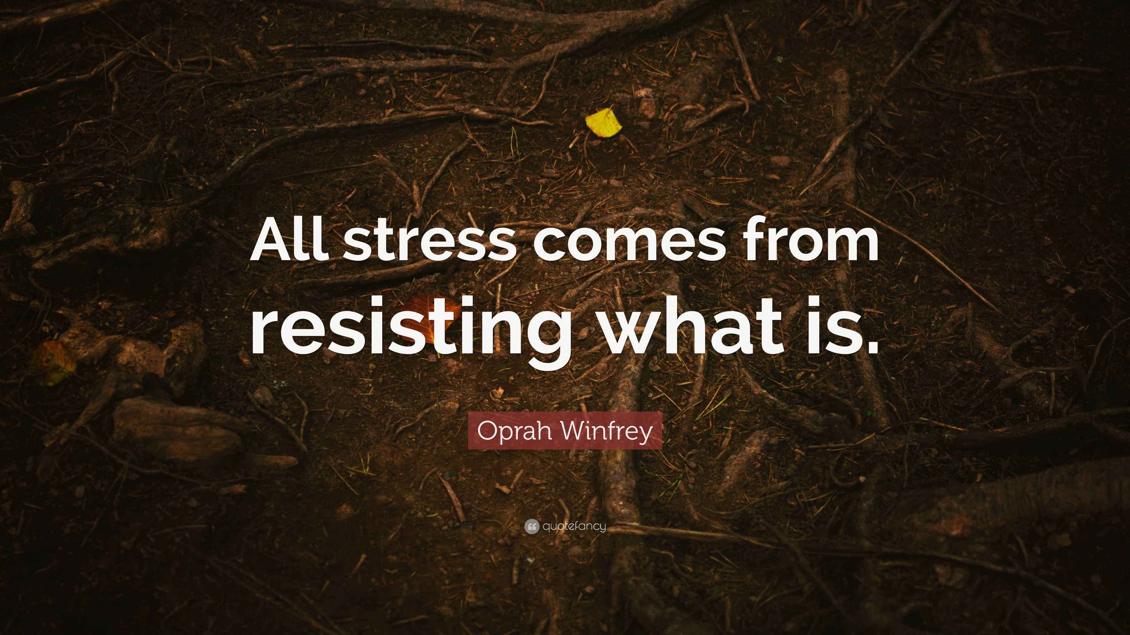 Oprah Winfrey Quote: “All stress comes from resisting what is.”