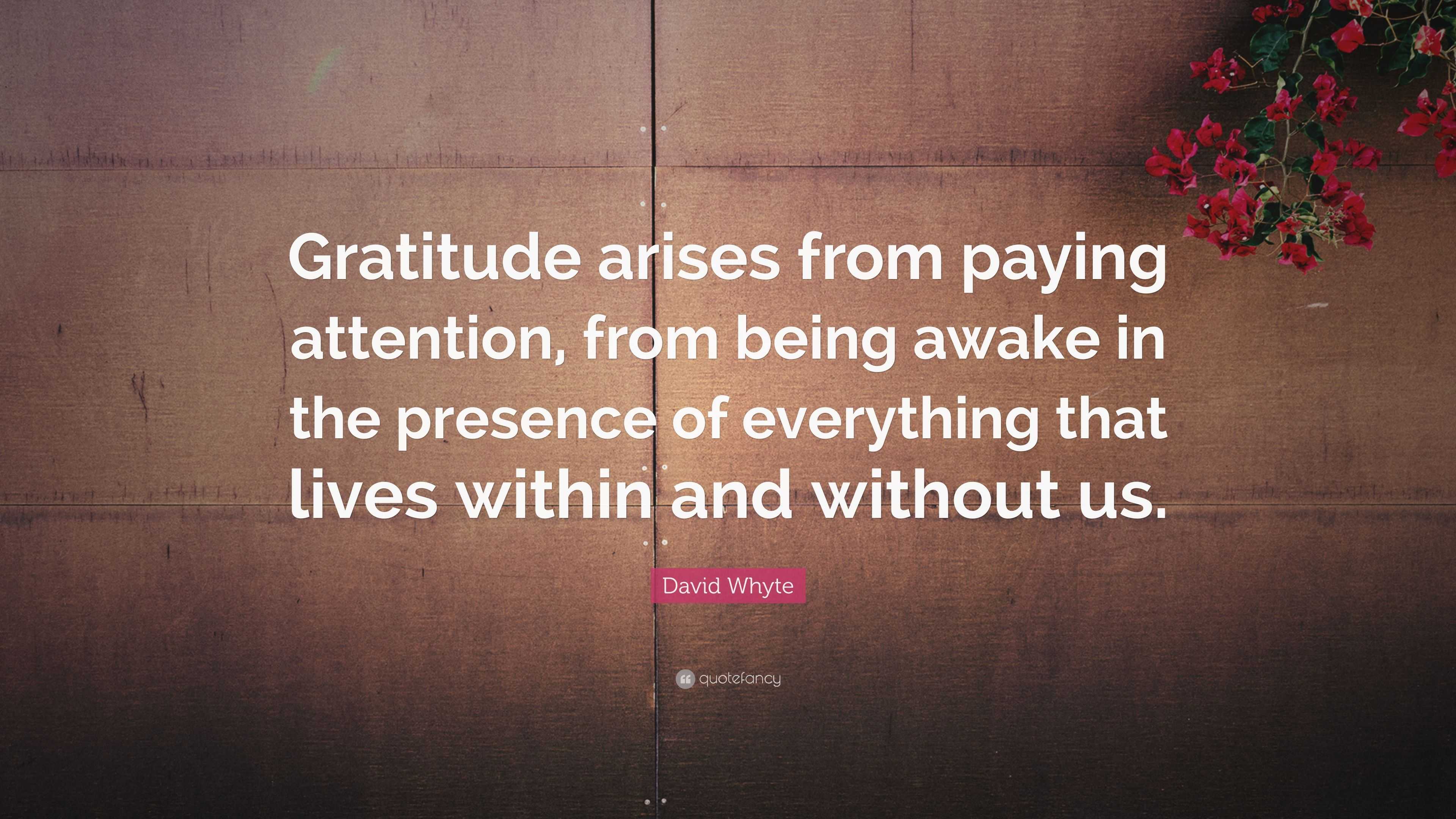 David Whyte Quote: “Gratitude arises from paying attention, from being ...
