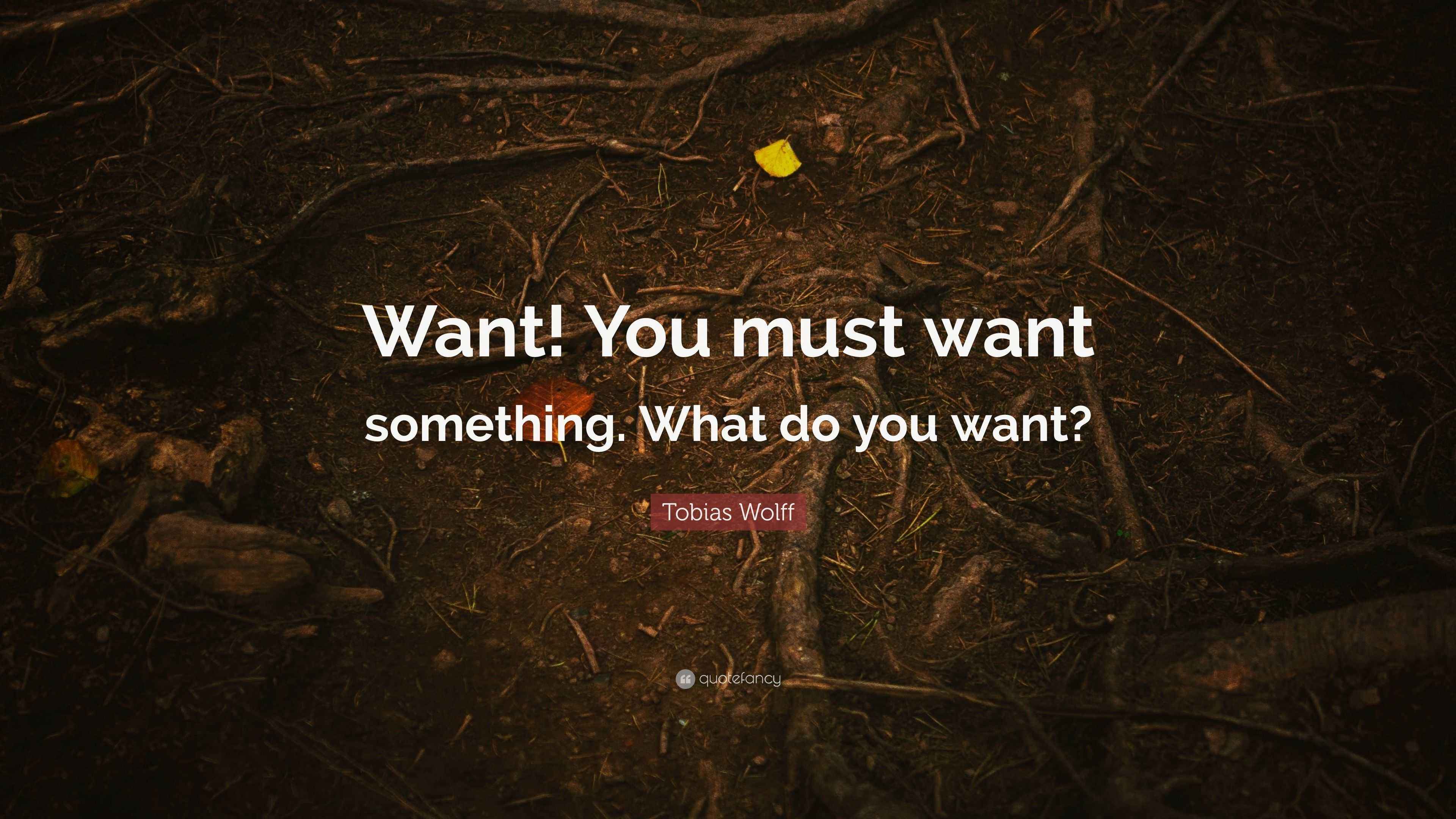 Tobias Wolff Quote: “Want! You must want something. What do you want?”