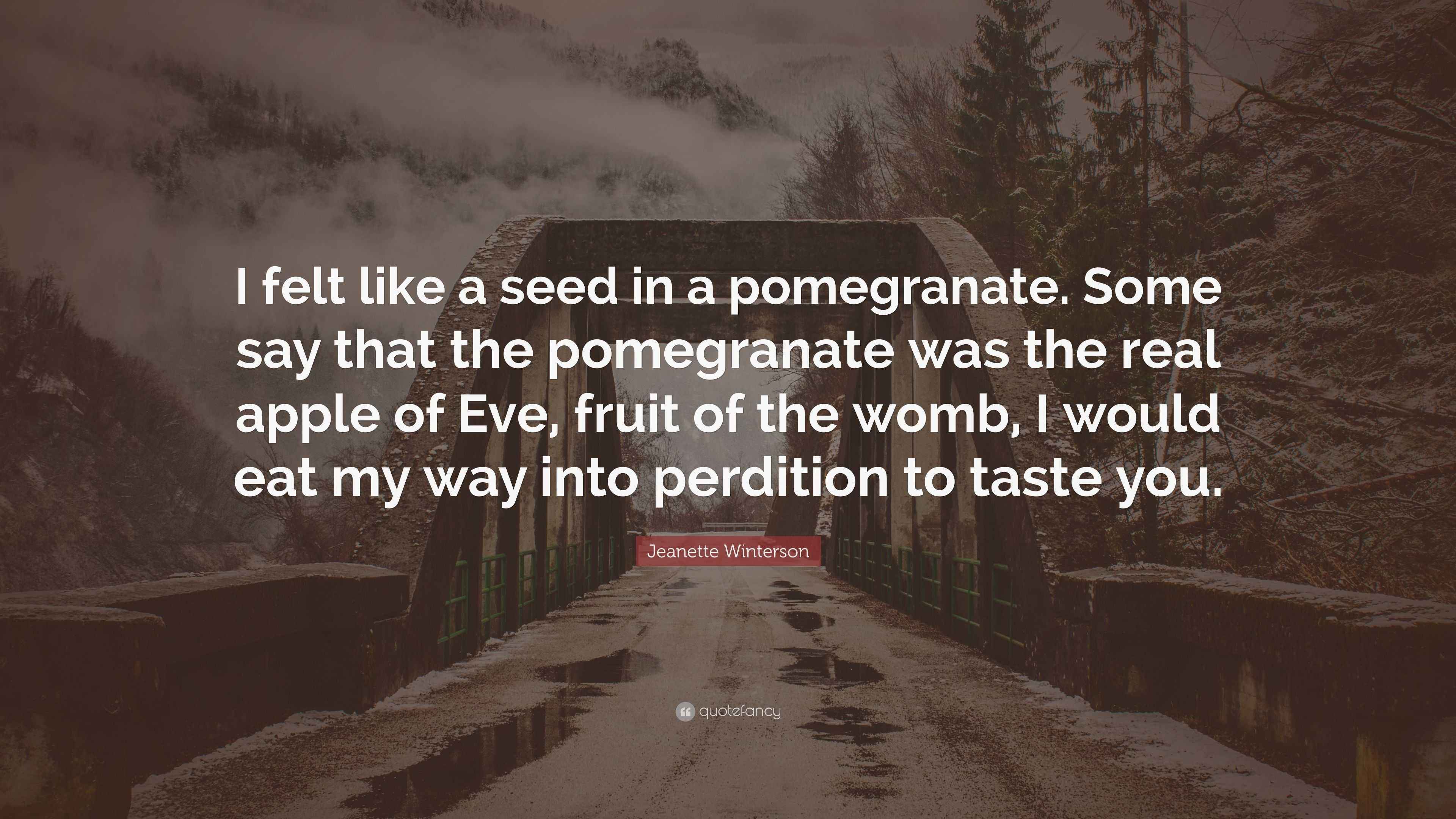 Jeanette Winterson Quote: “I felt like a seed in a pomegranate. Some ...