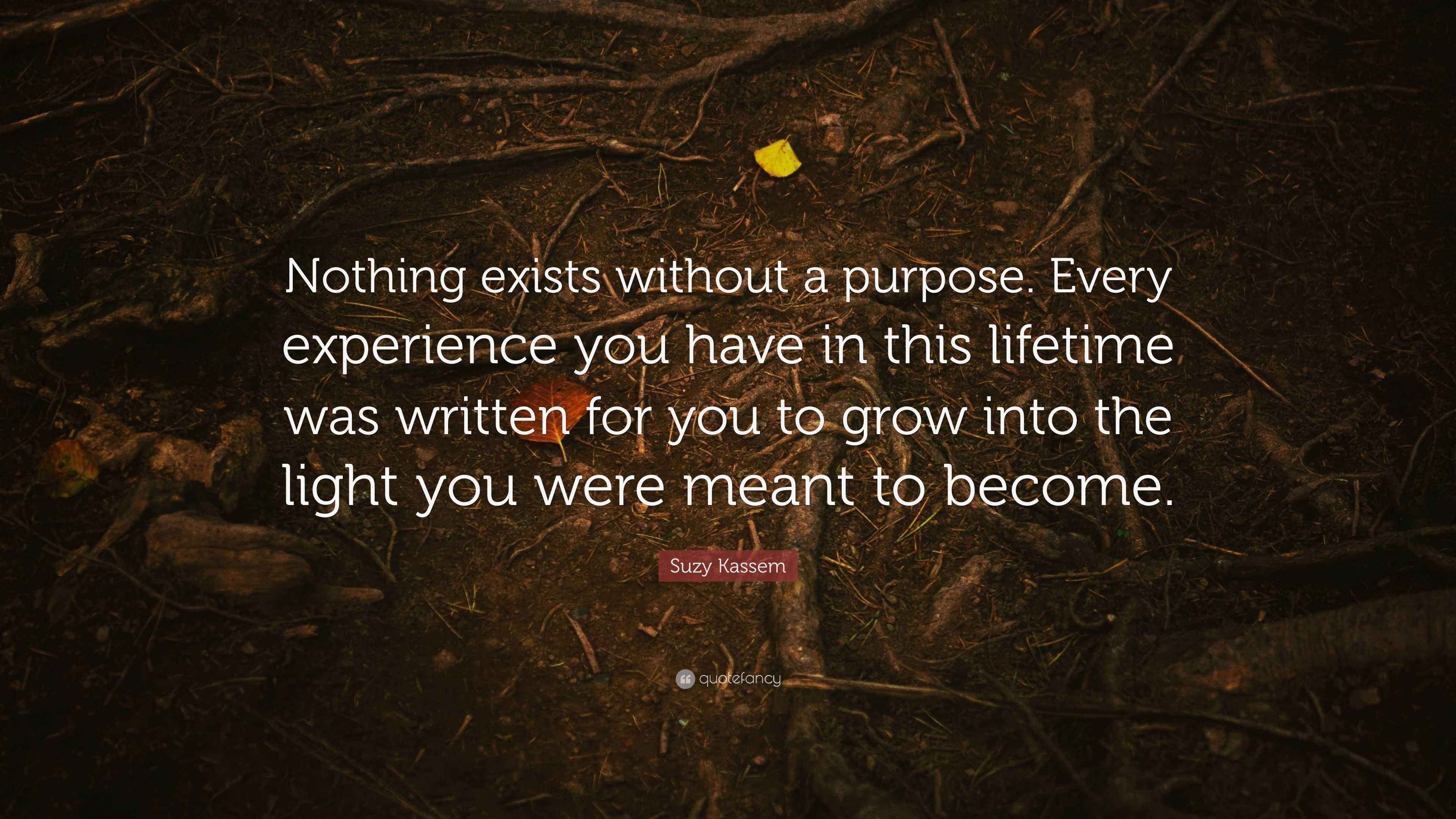 Suzy Kassem Quote: “Nothing exists without a purpose. Every experience ...