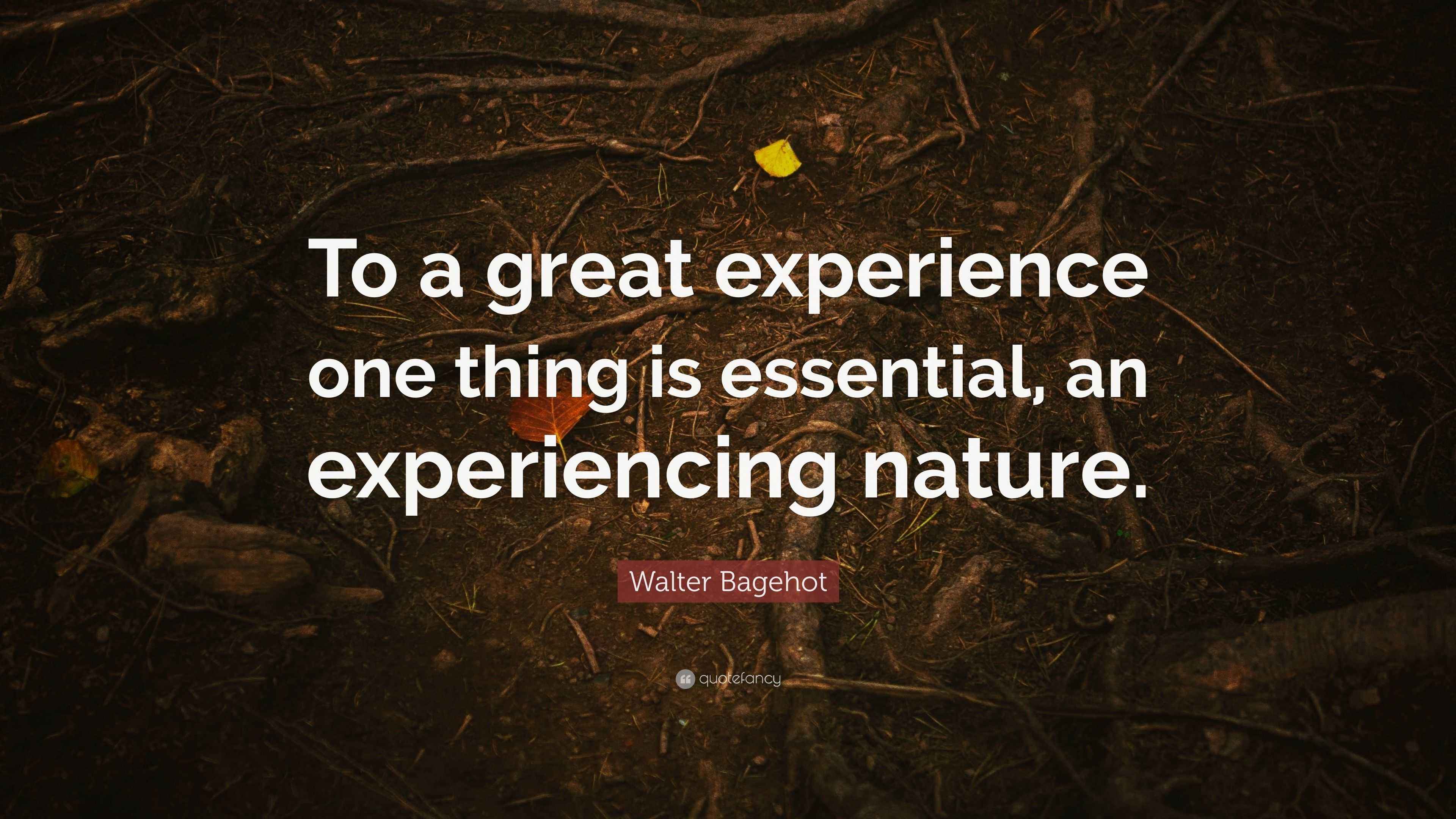 Walter Bagehot Quote: “To a great experience one thing is essential, an ...