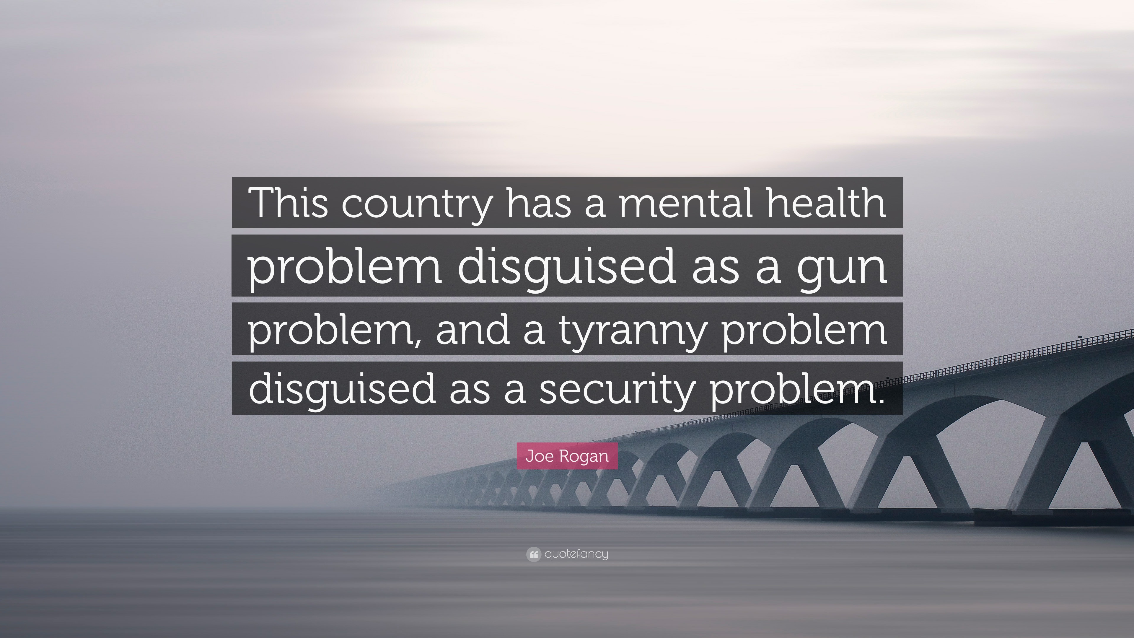 Joe Rogan Quote: “This country has a mental health problem disguised as ...