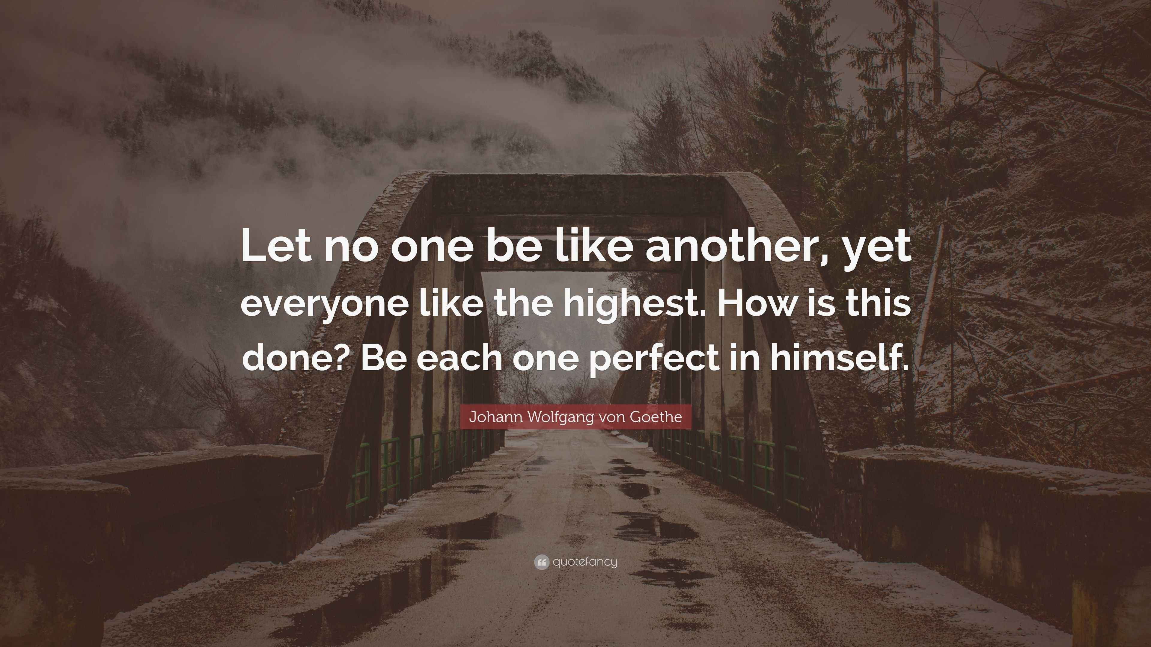 Johann Wolfgang von Goethe Quote: “Let no one be like another, yet ...