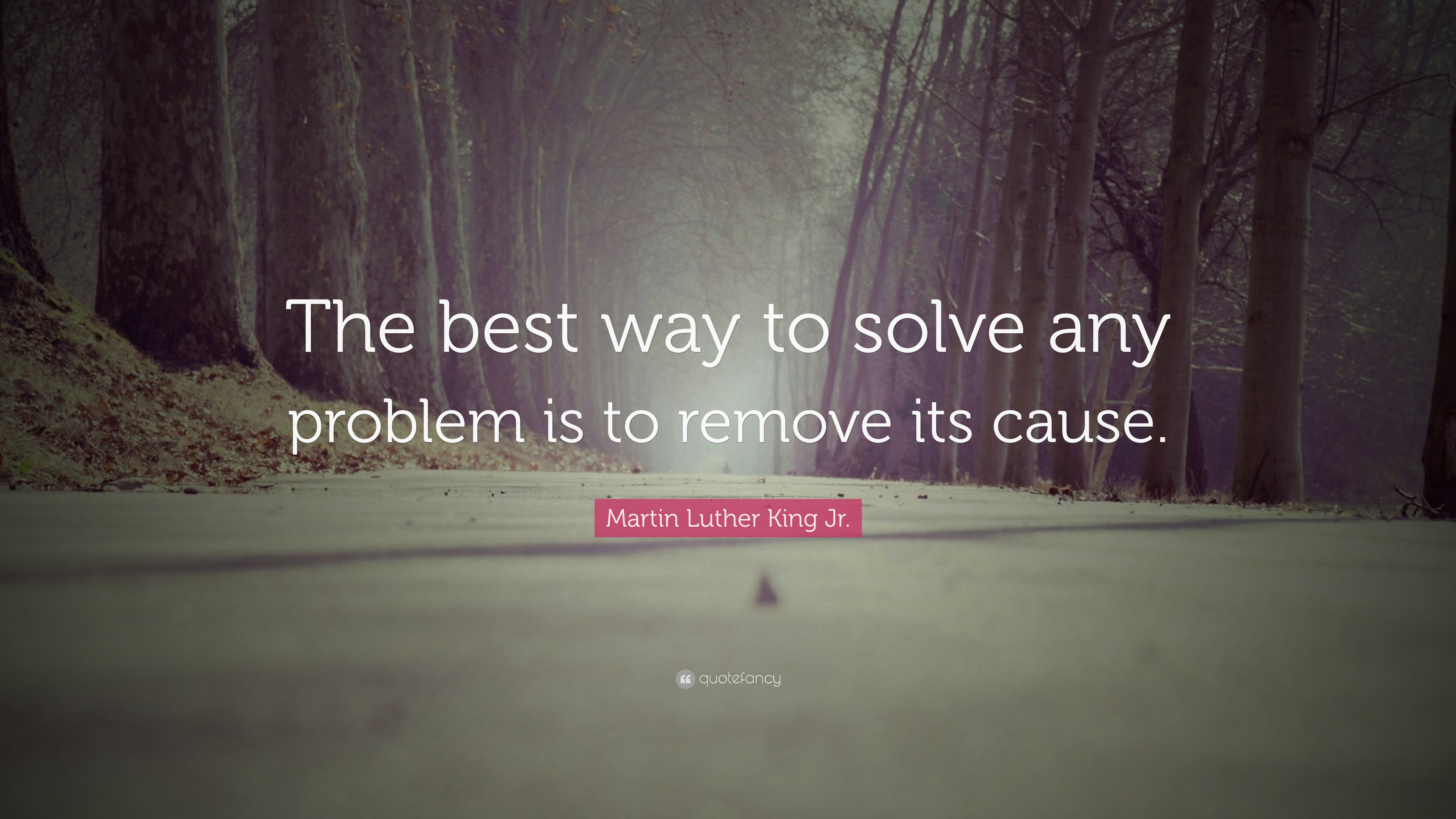 Martin Luther King Jr. Quote: “The best way to solve any problem is to ...