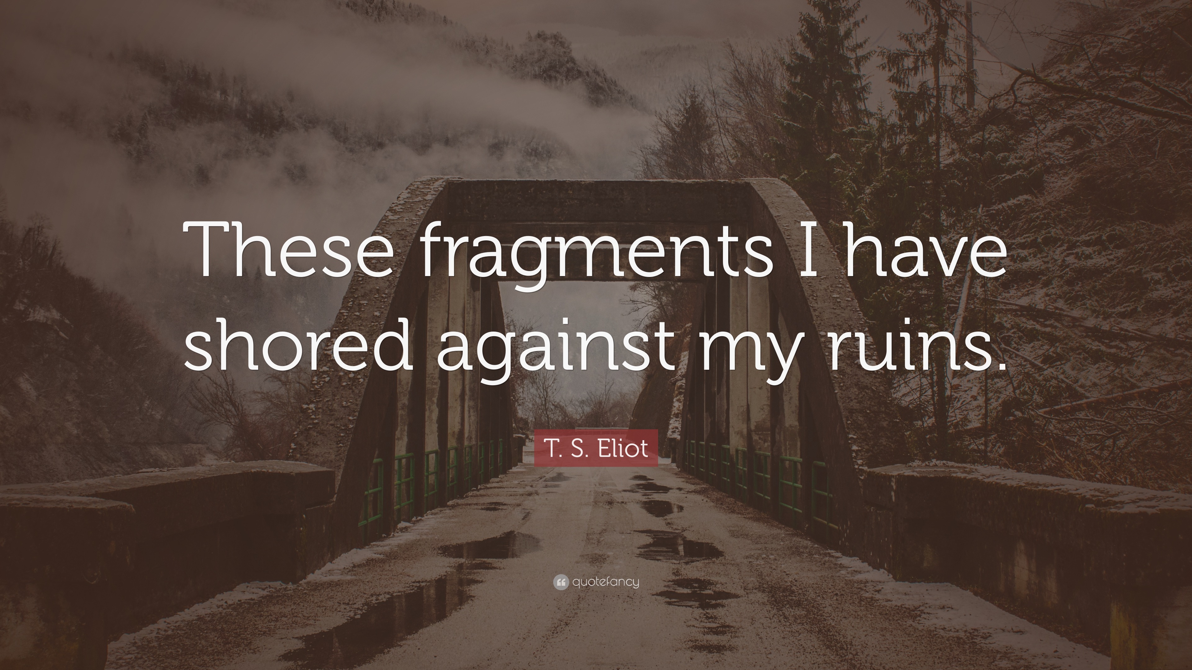T. S. Eliot Quote: “These fragments I have shored against my ruins.”
