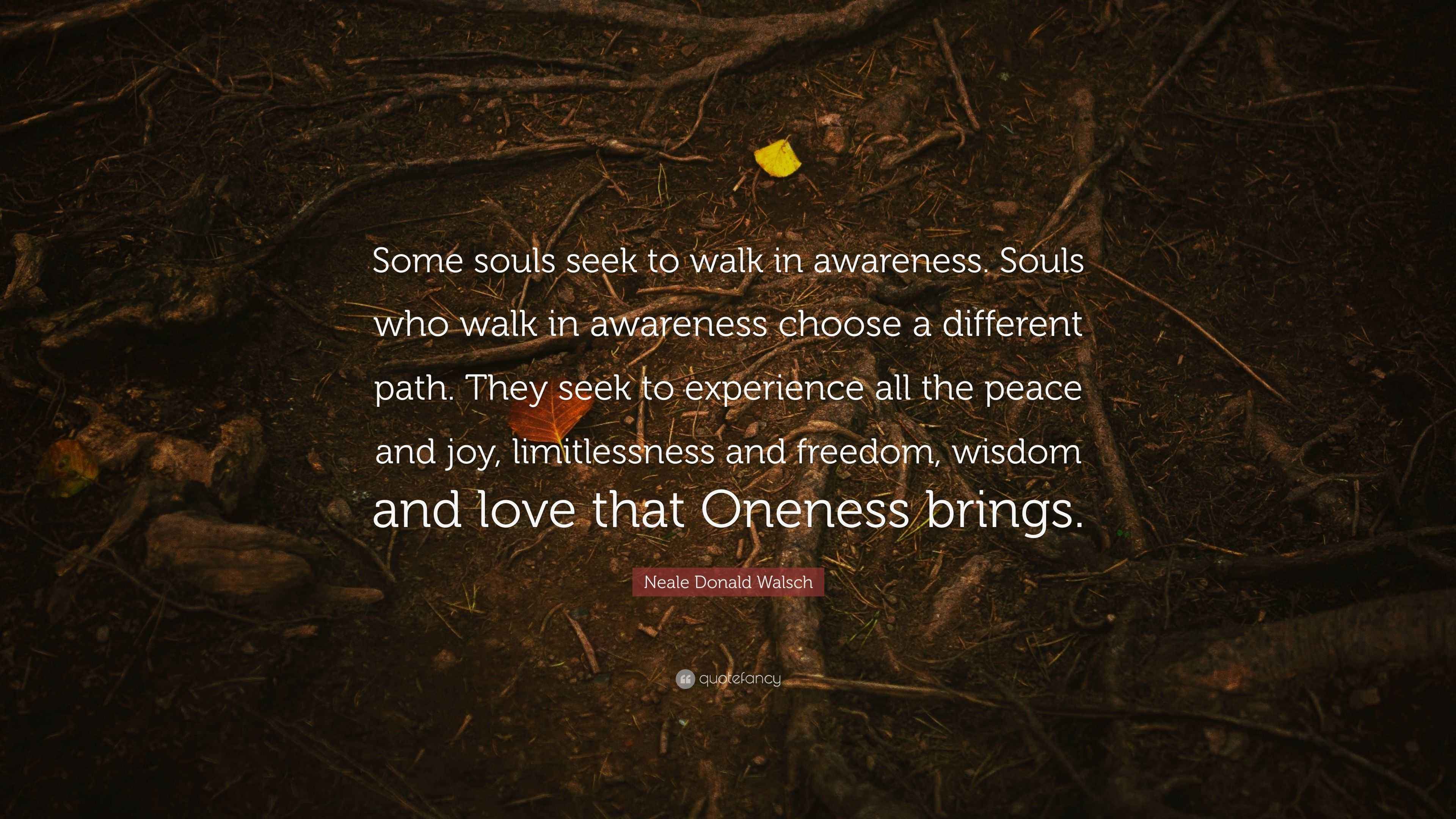 Neale Donald Walsch Quote: “Some souls seek to walk in awareness. Souls ...
