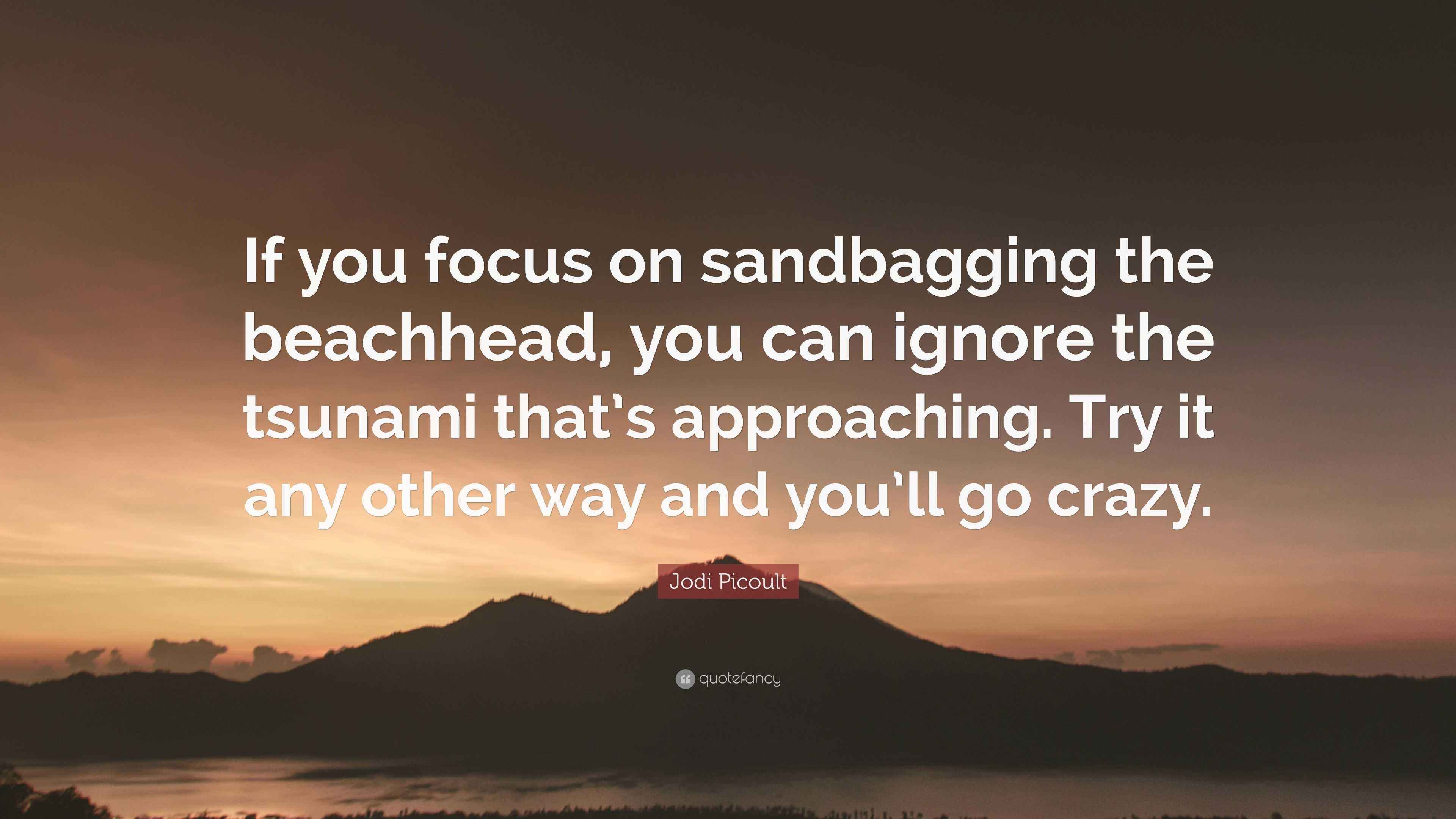 Jodi Picoult Quote: “If you focus on sandbagging the beachhead, you can ...