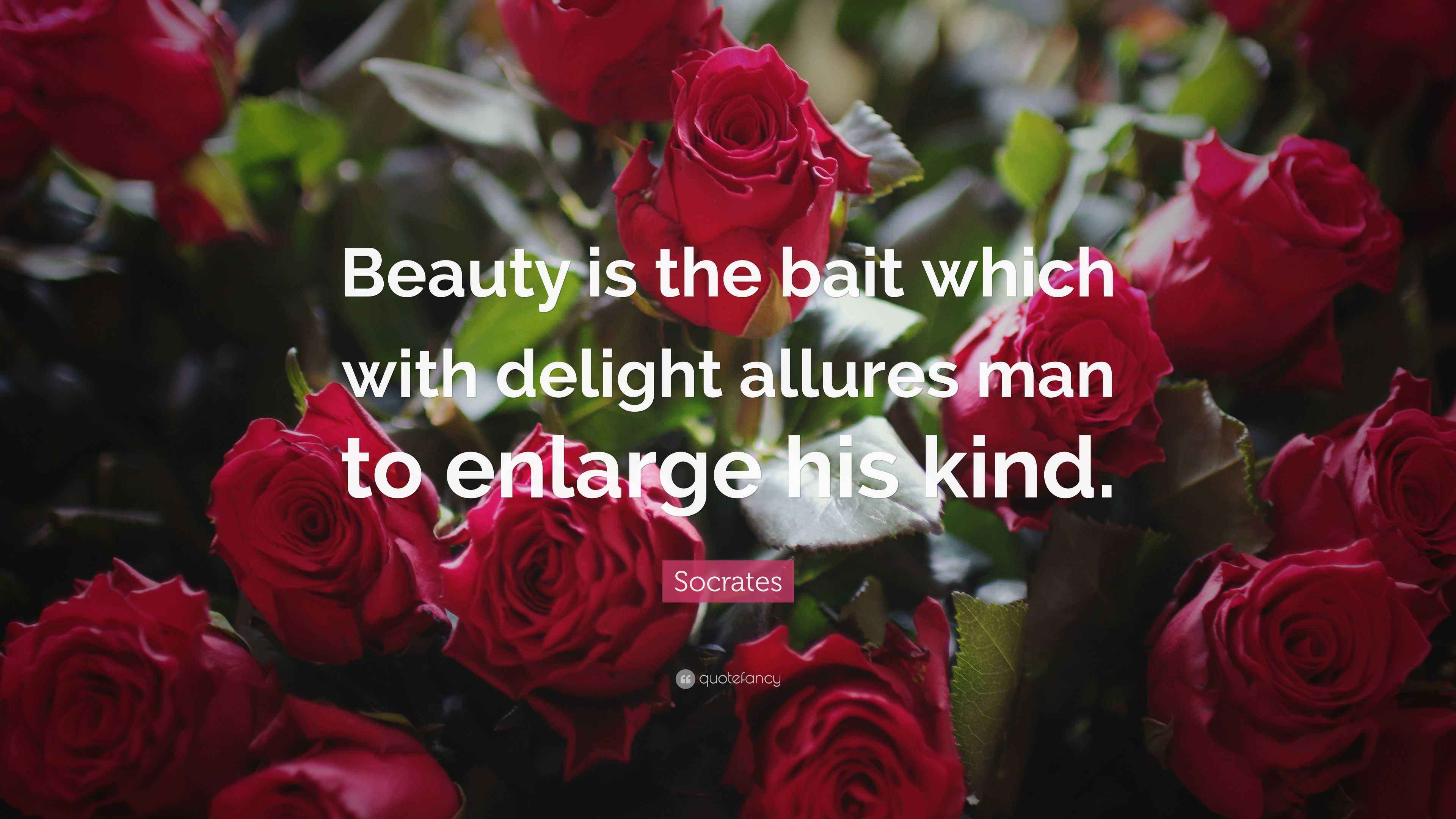 Socrates Quote: “Beauty is the bait which with delight allures man to ...