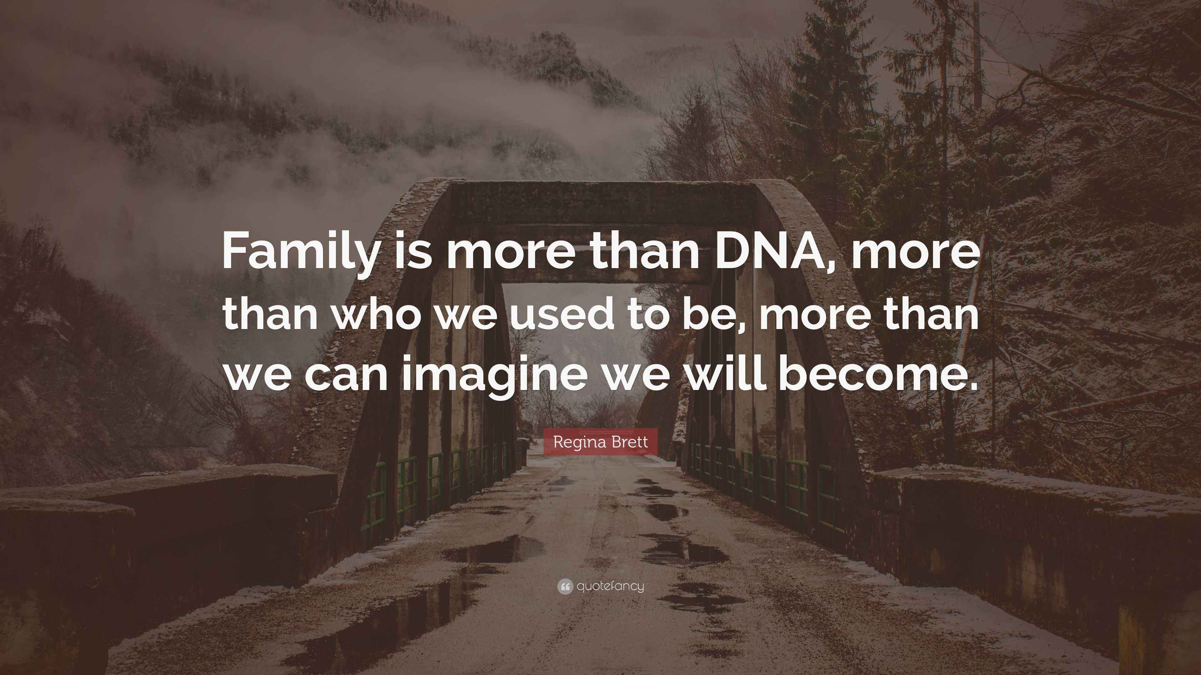 Regina Brett Quote: “Family is more than DNA, more than who we used to ...