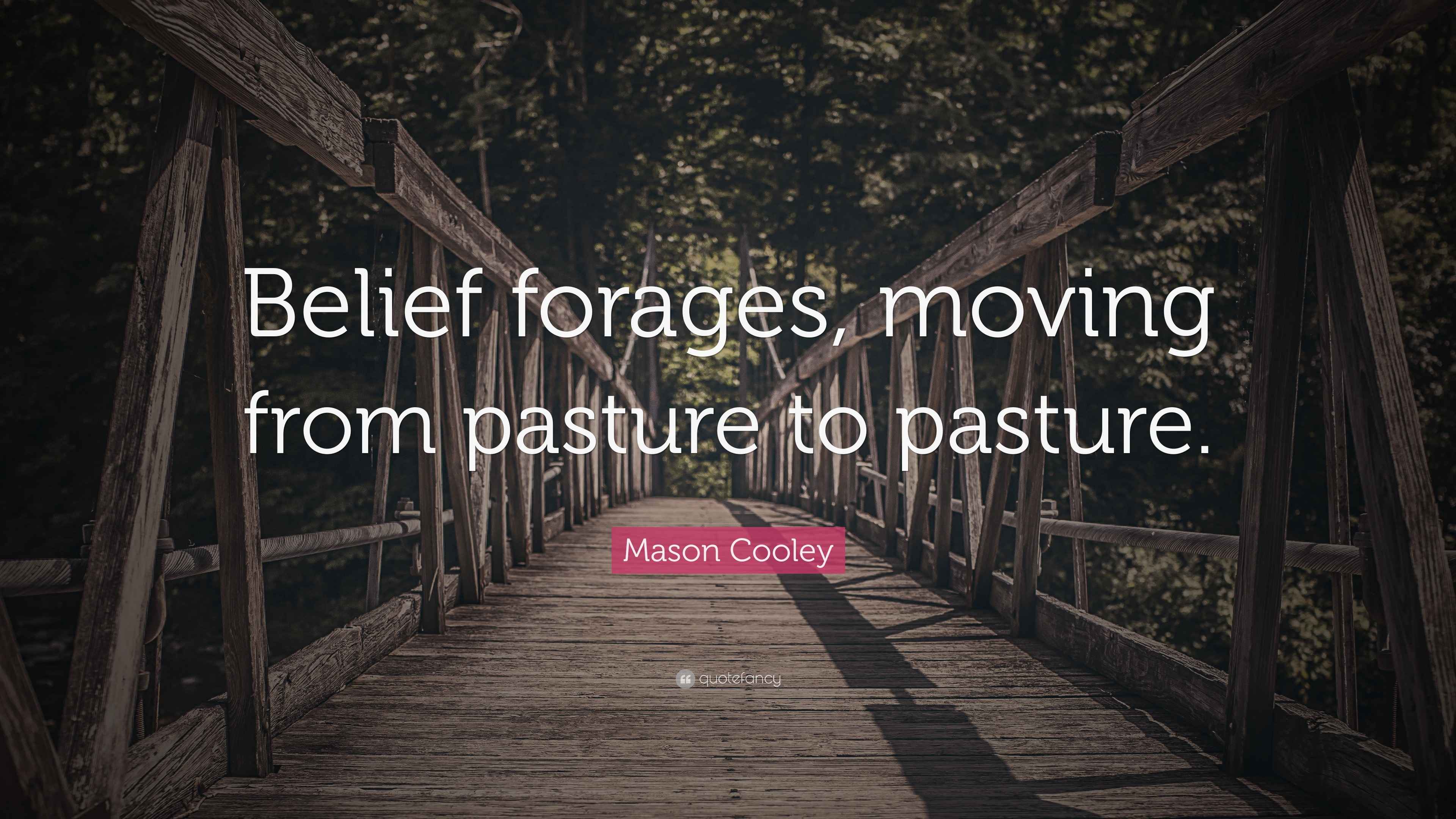 Mason Cooley Quote: “Belief forages, moving from pasture to pasture.”