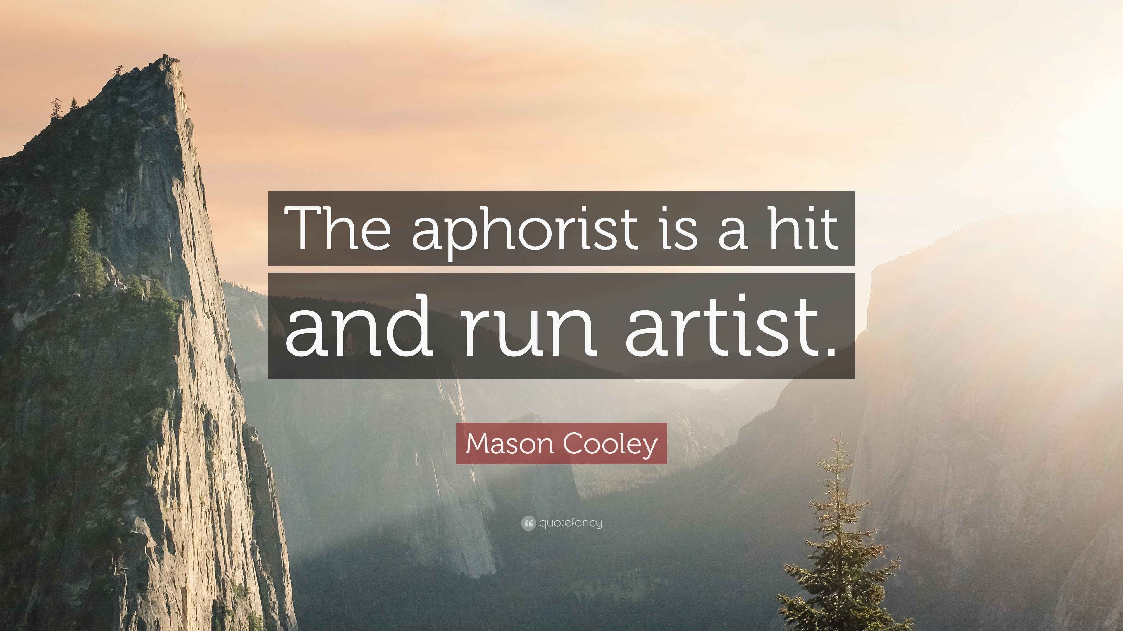 Mason Cooley Quote: “The aphorist is a hit and run artist.”