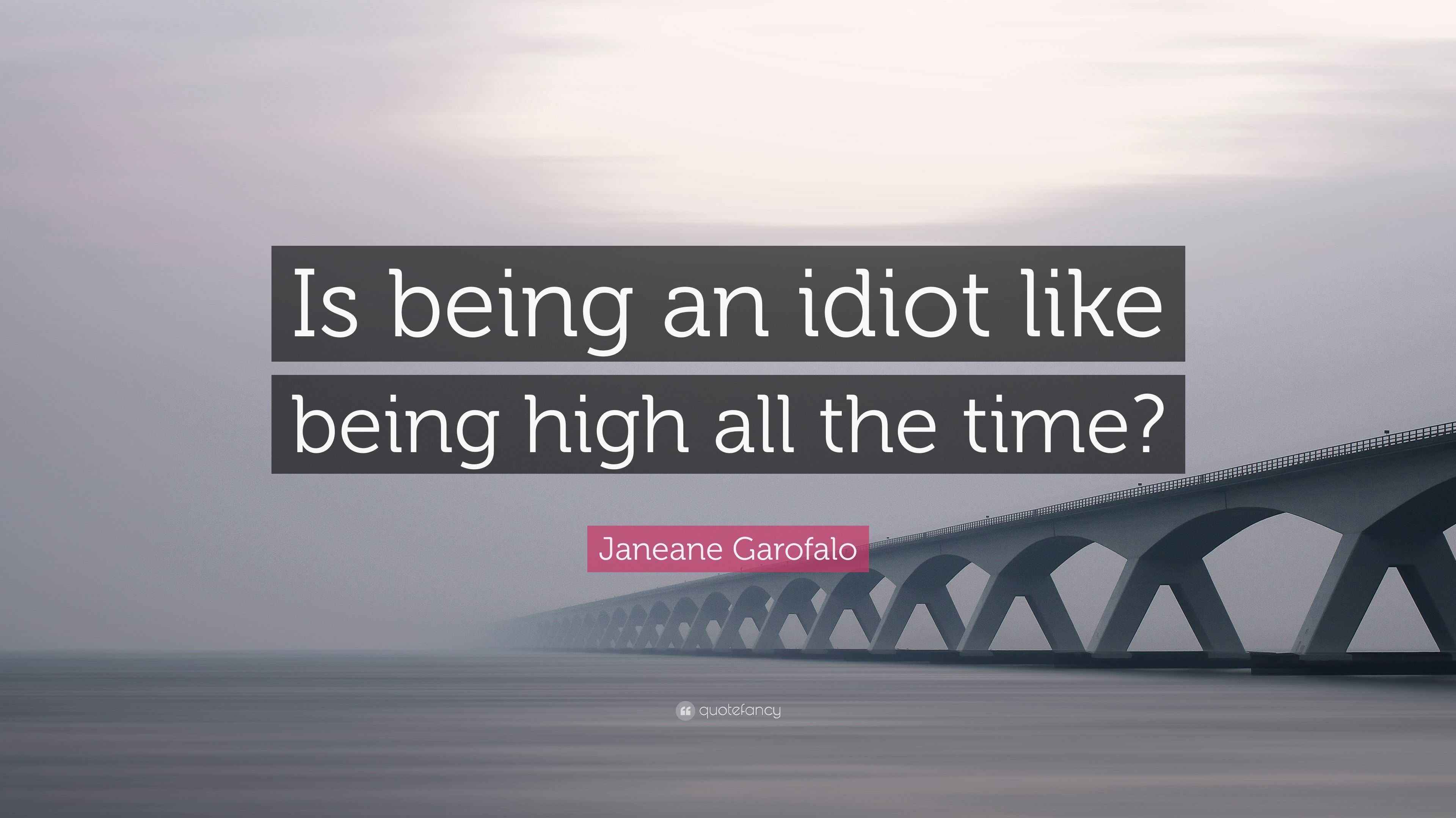 Janeane Garofalo Quote: “Is being an idiot like being high all the time?”
