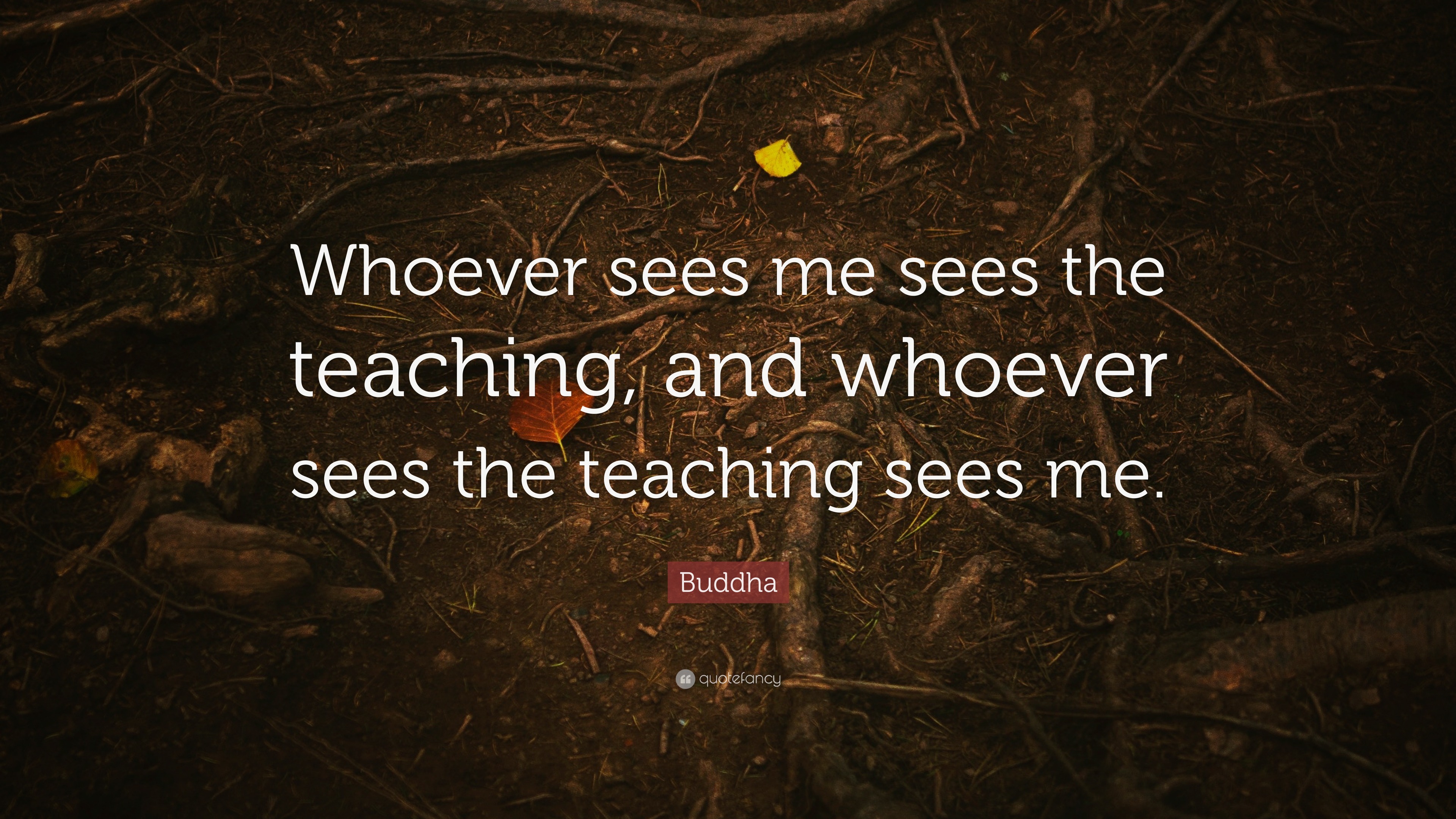 Buddha Quote: “Whoever sees me sees the teaching, and whoever sees the ...