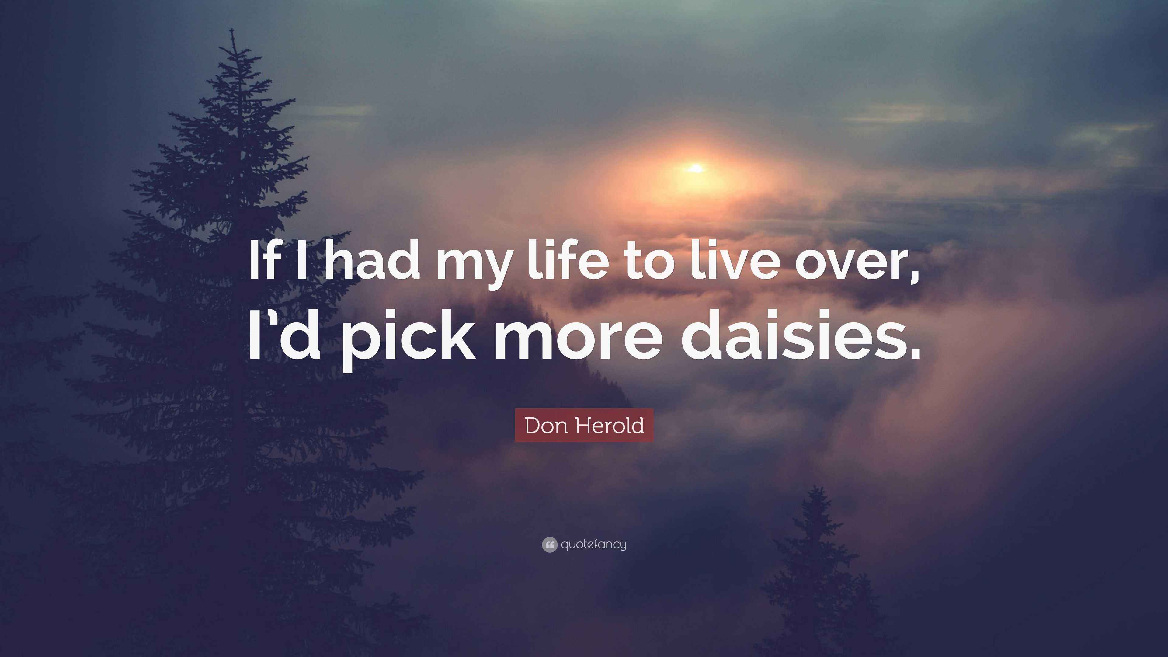 Don Herold Quote: “If I had my life to live over, I’d pick more daisies.”
