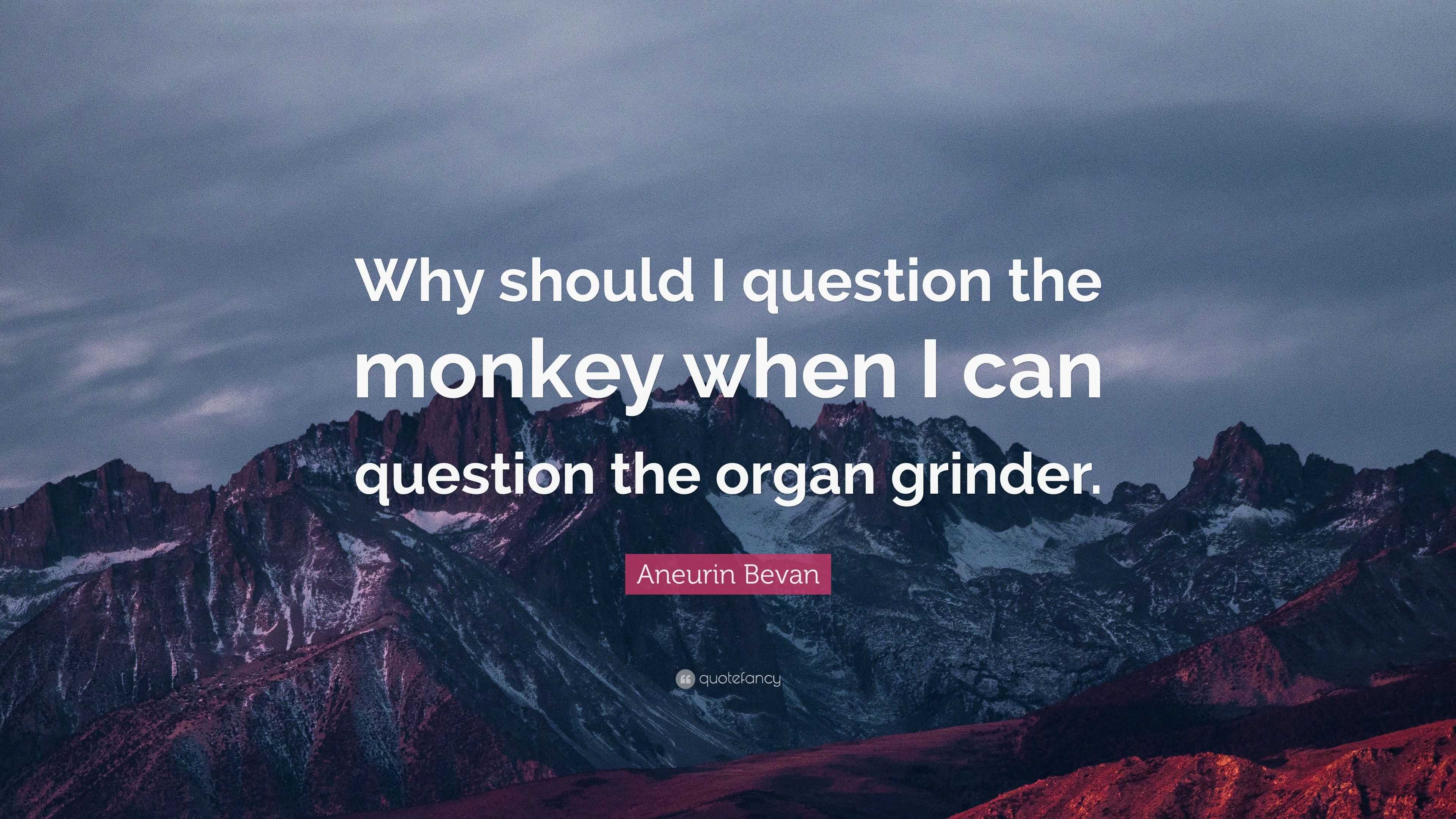 Aneurin Bevan Quote: “Why should I question the monkey when I can ...