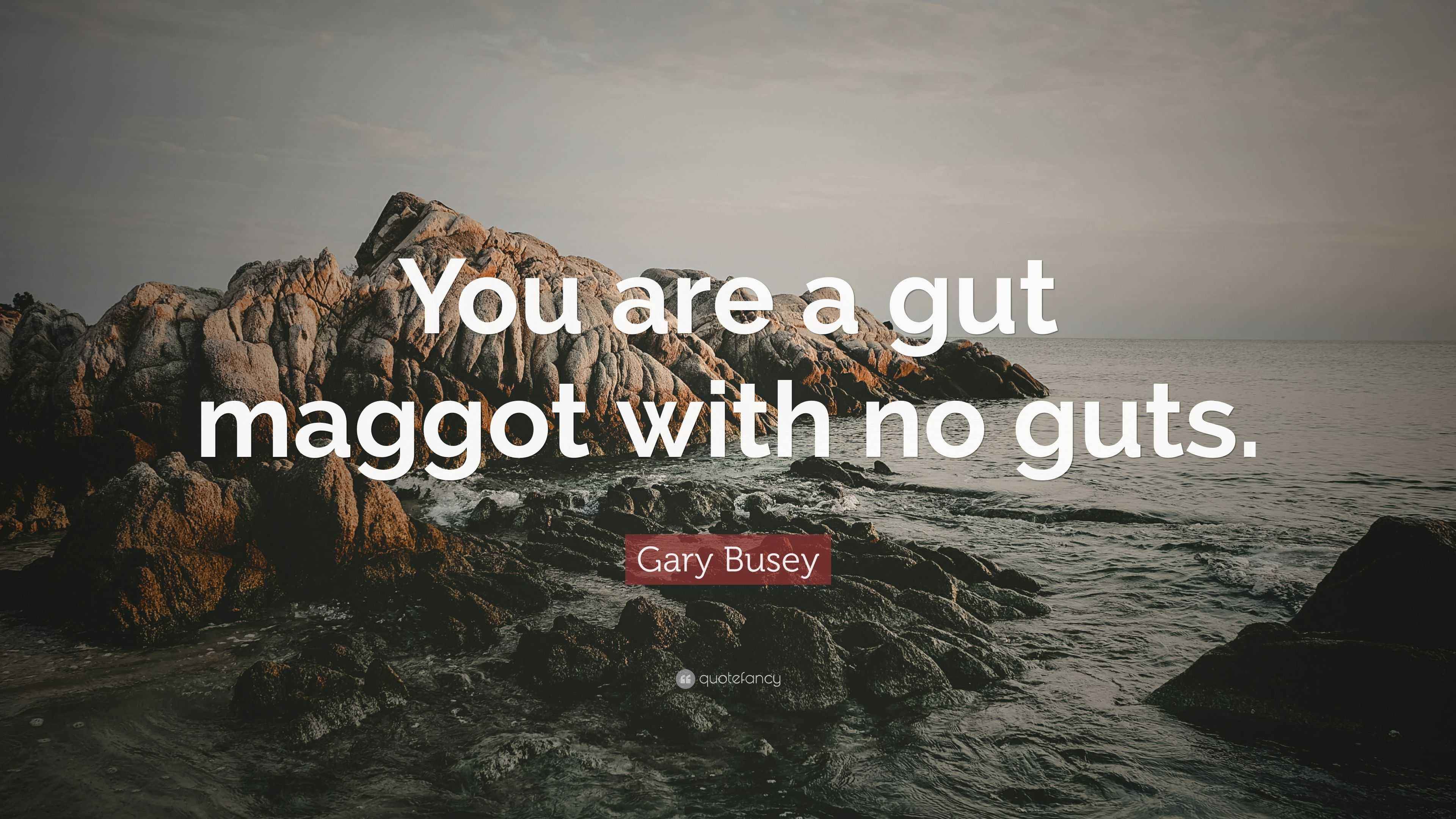 Gary Busey Quote: “You are a gut maggot with no guts.”