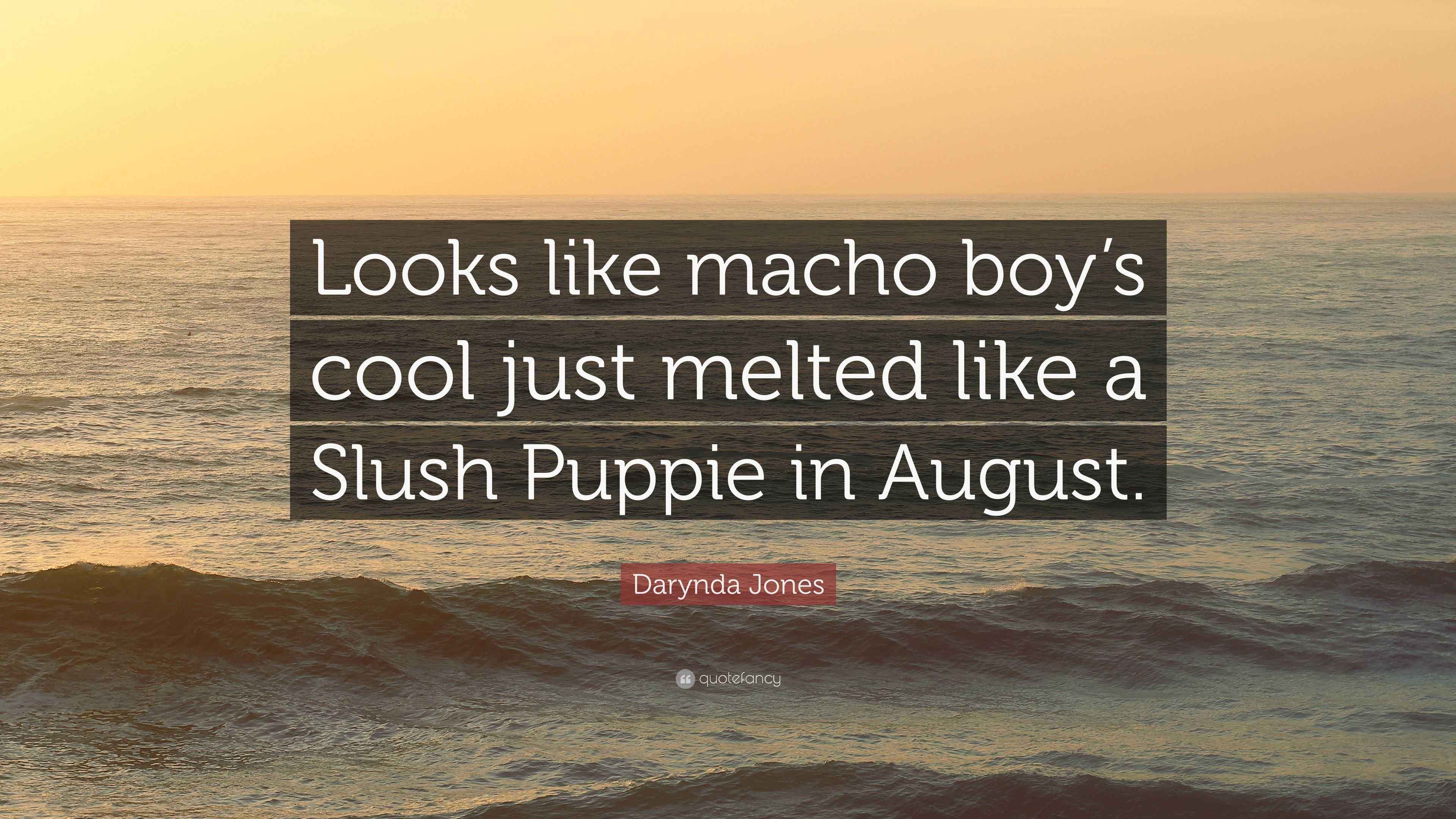 Darynda Jones Quote: “Looks like macho boy’s cool just melted like a ...