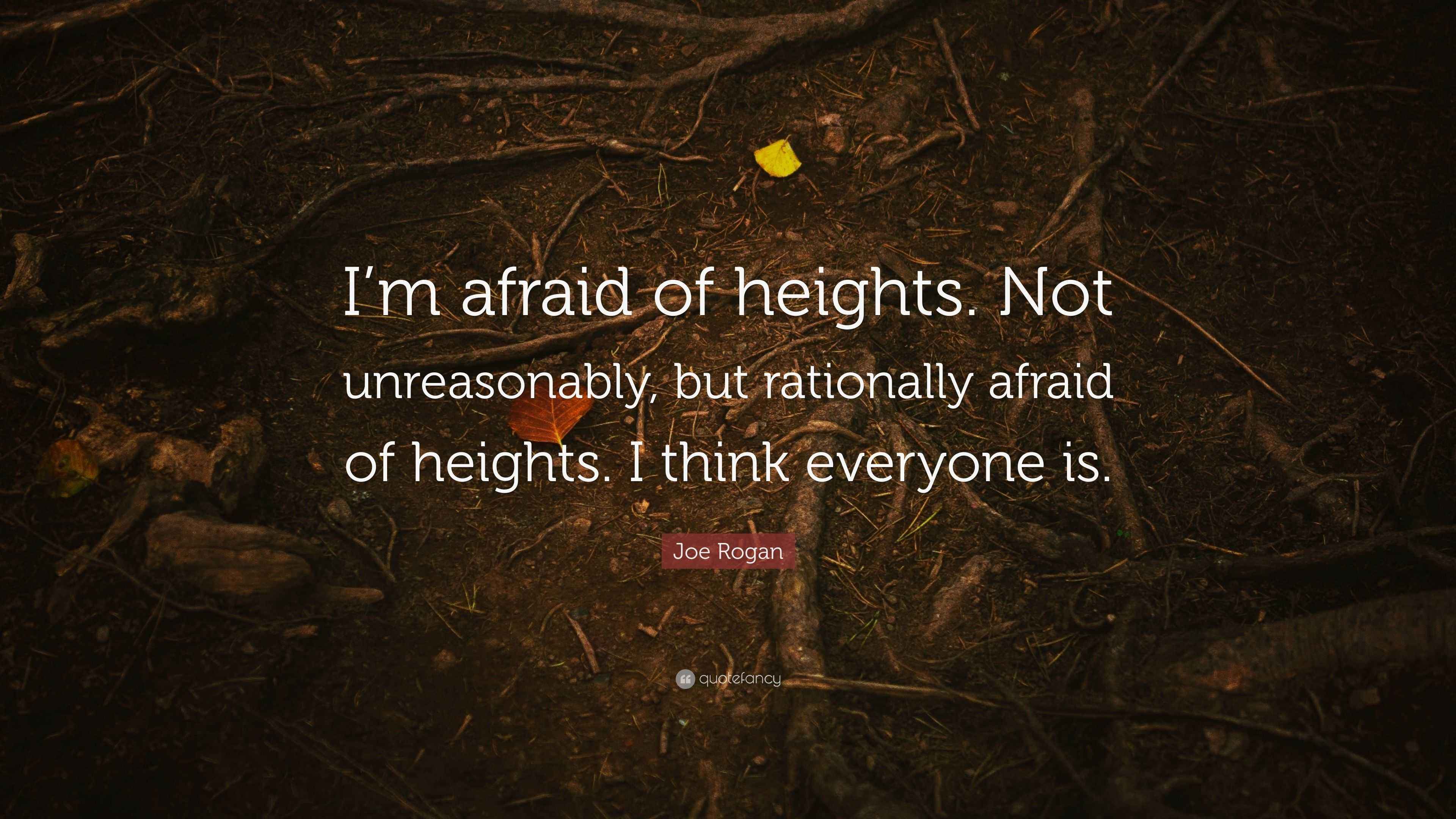 Joe Rogan Quote: “I’m afraid of heights. Not unreasonably, but ...