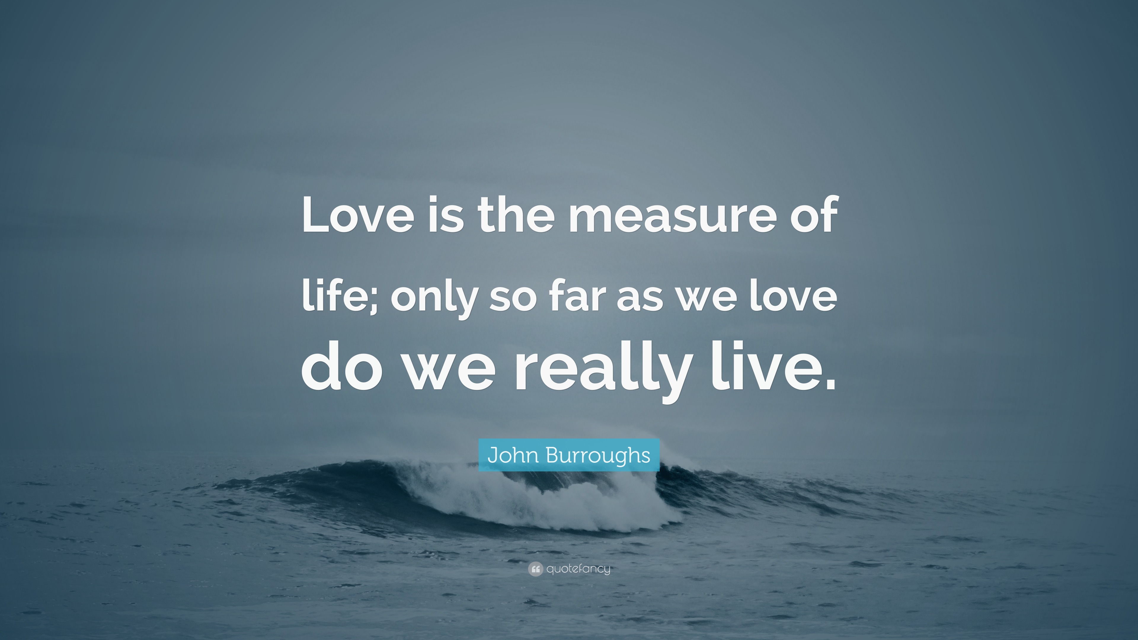 John Burroughs Quote: “Love is the measure of life; only so far as we ...