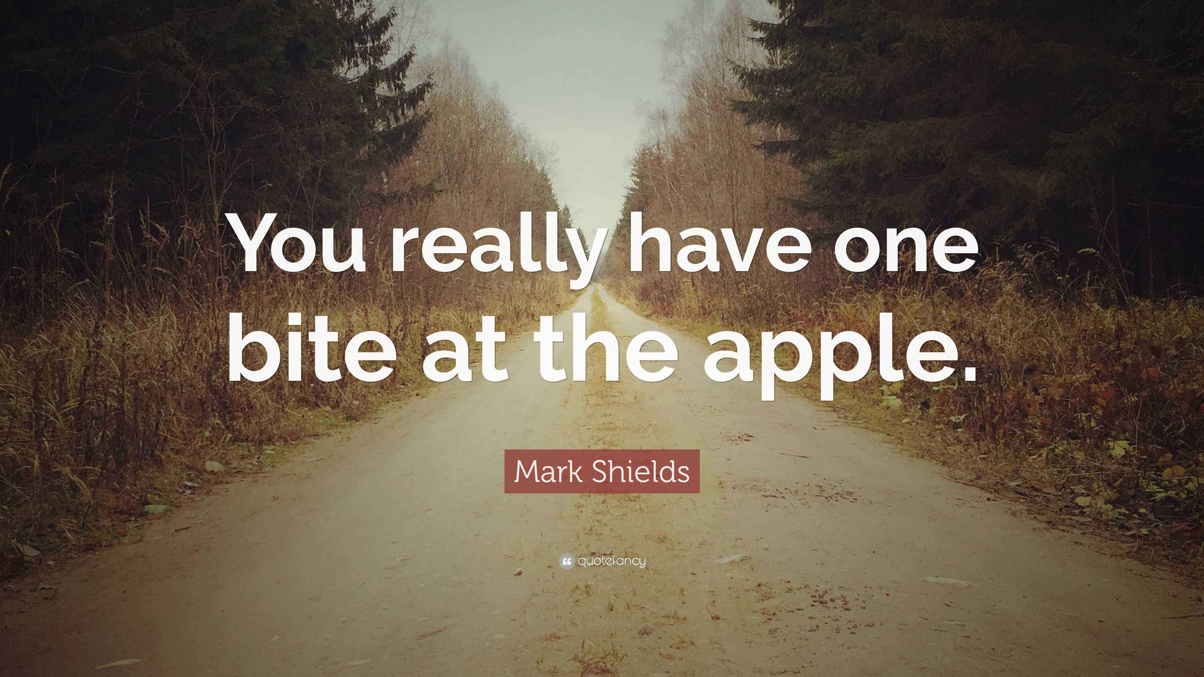 Mark Shields Quote: “You really have one bite at the apple.”