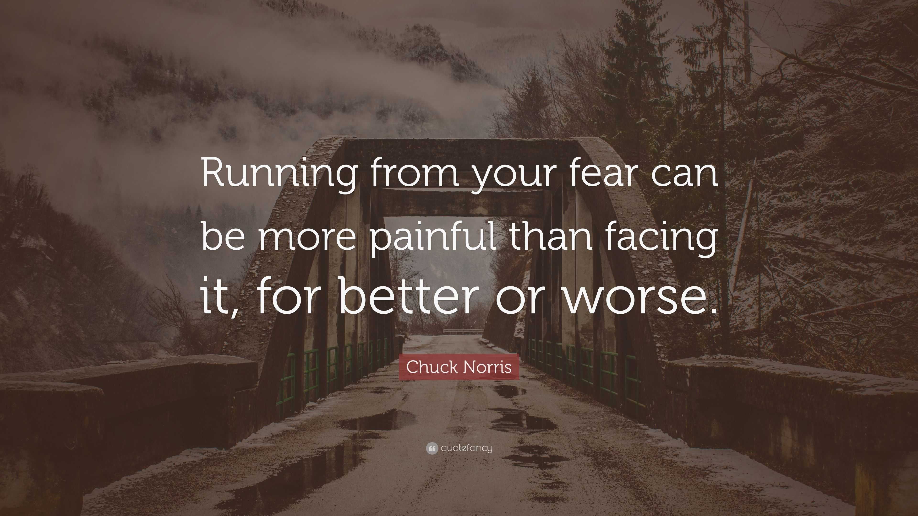 Chuck Norris Quote: “Running from your fear can be more painful than ...