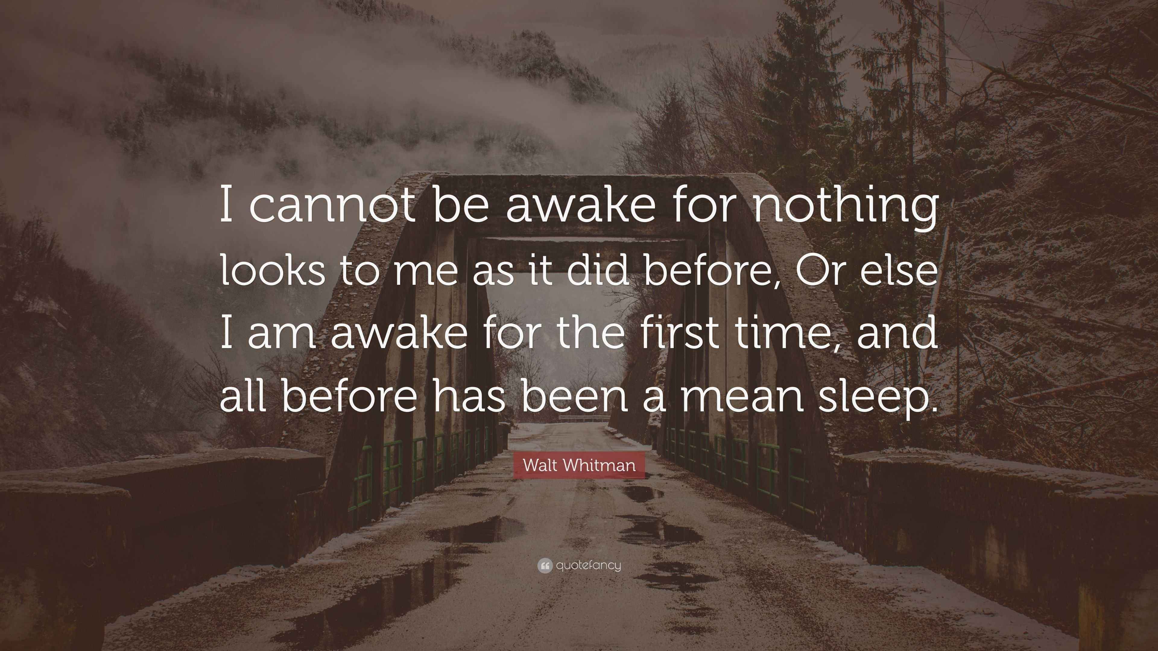 Walt Whitman Quote: “I cannot be awake for nothing looks to me as it ...