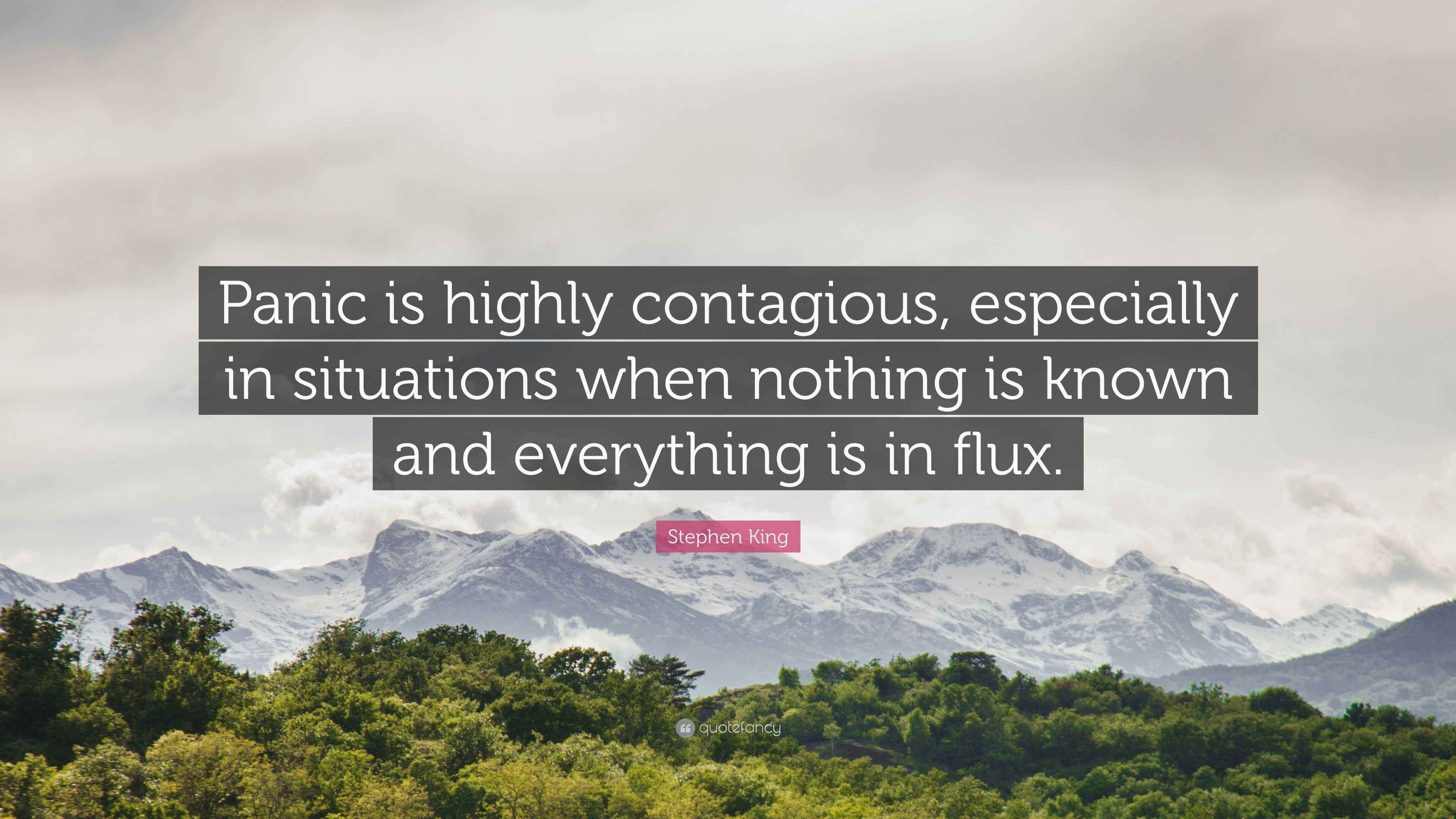 Stephen King Quote: “Panic is highly contagious, especially in ...