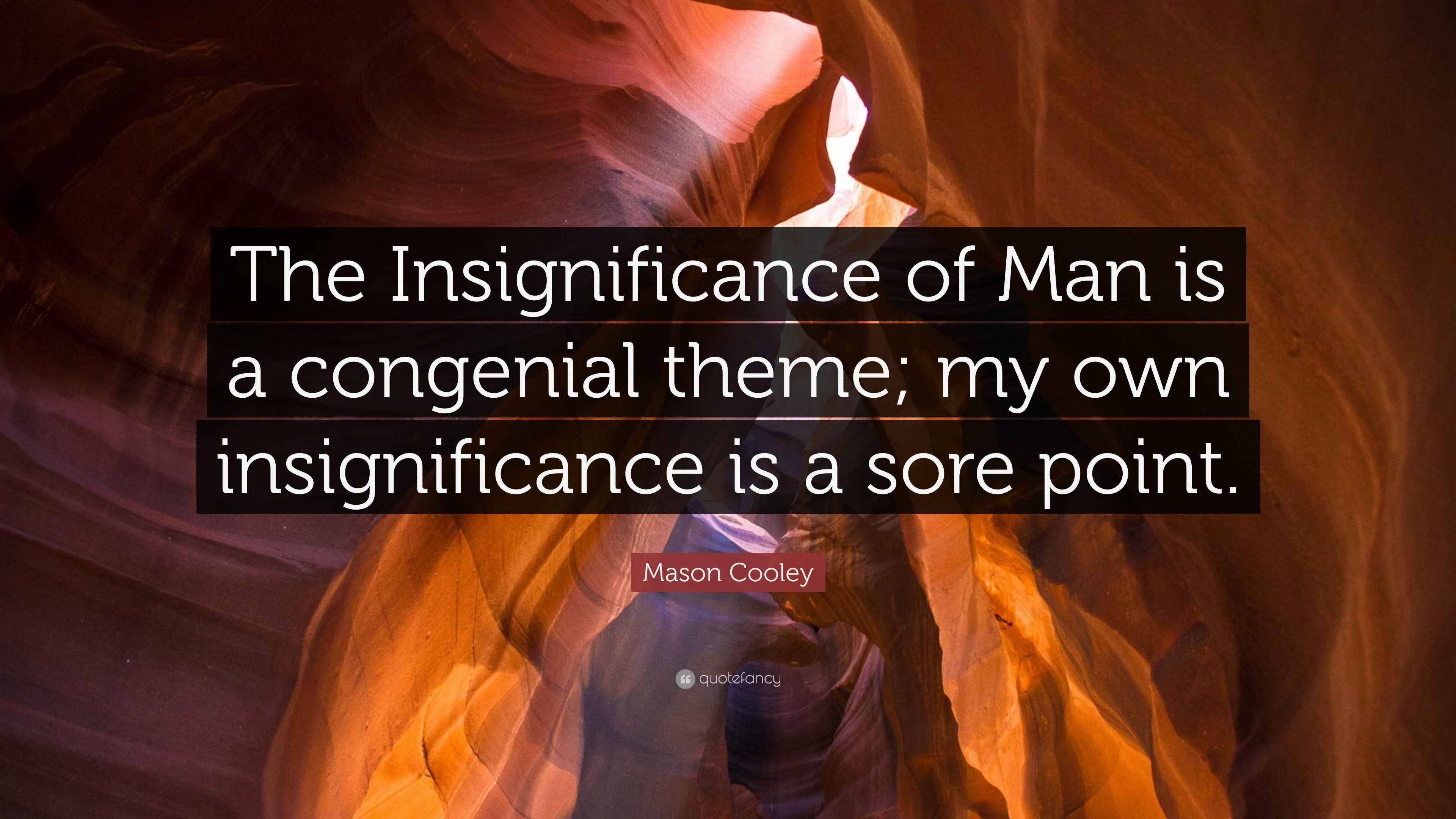 Mason Cooley Quote: “The Insignificance of Man is a congenial theme; my ...