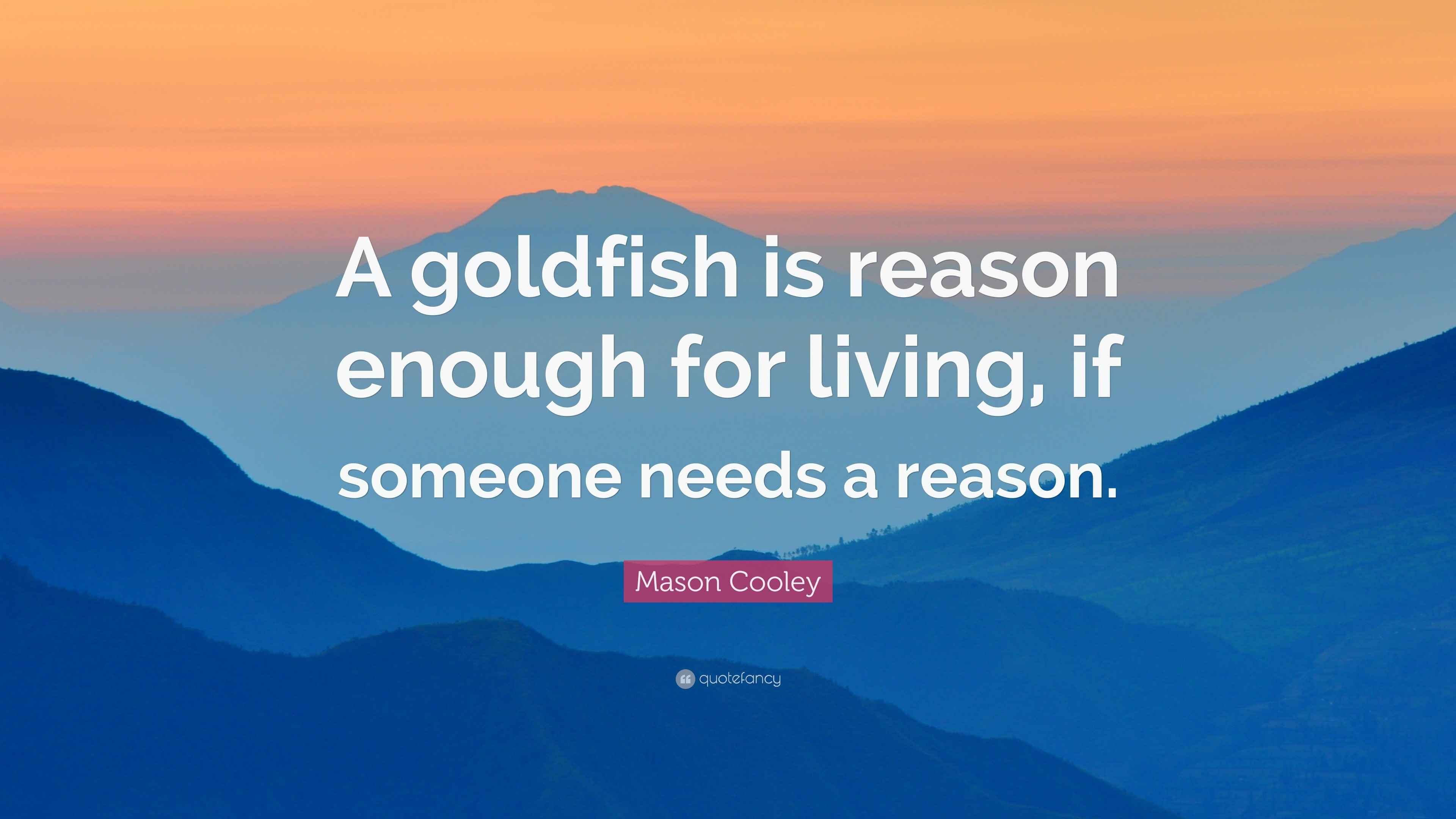Mason Cooley Quote: “A goldfish is reason enough for living, if someone ...