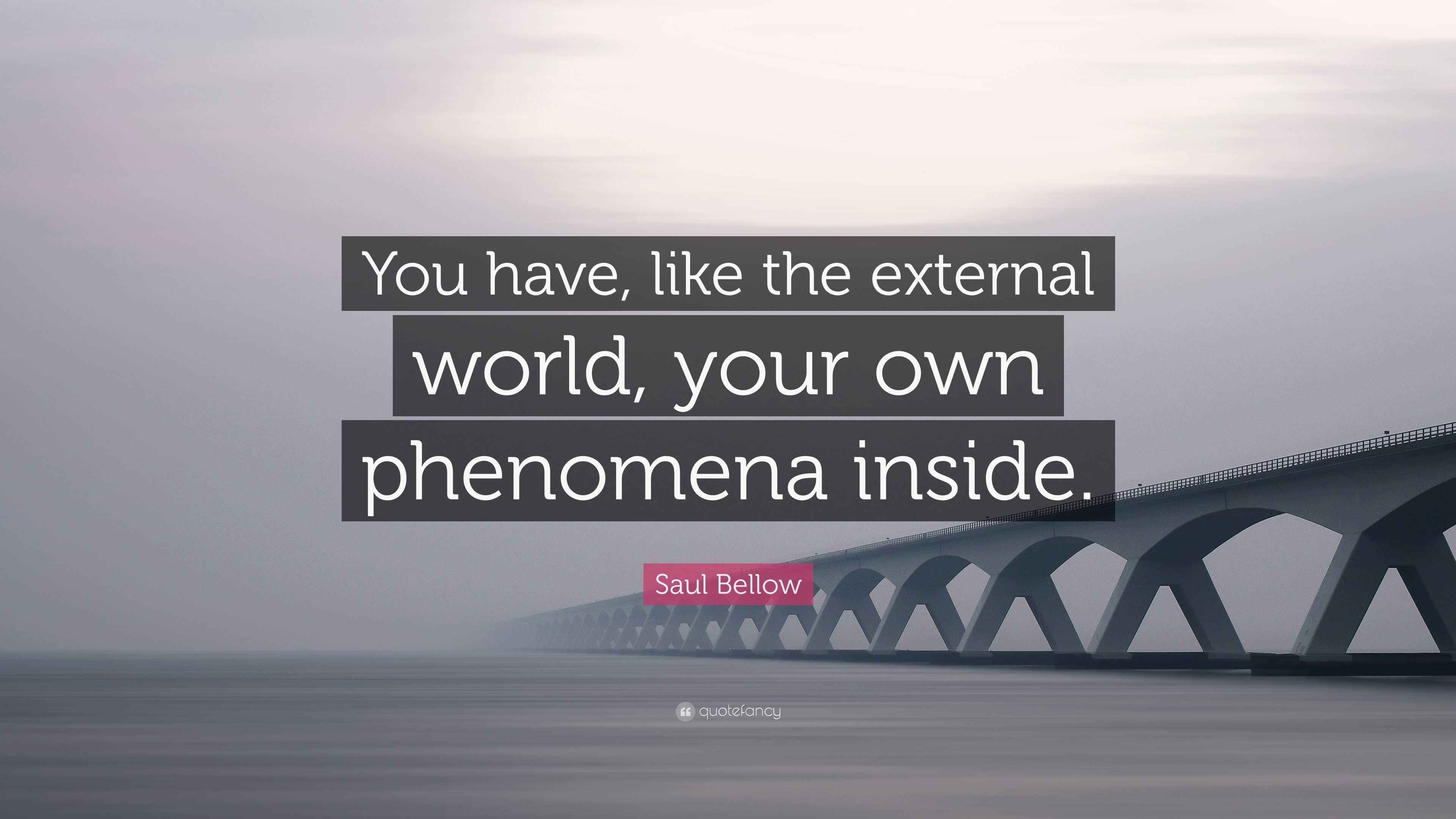 Saul Bellow Quote: “You have, like the external world, your own ...