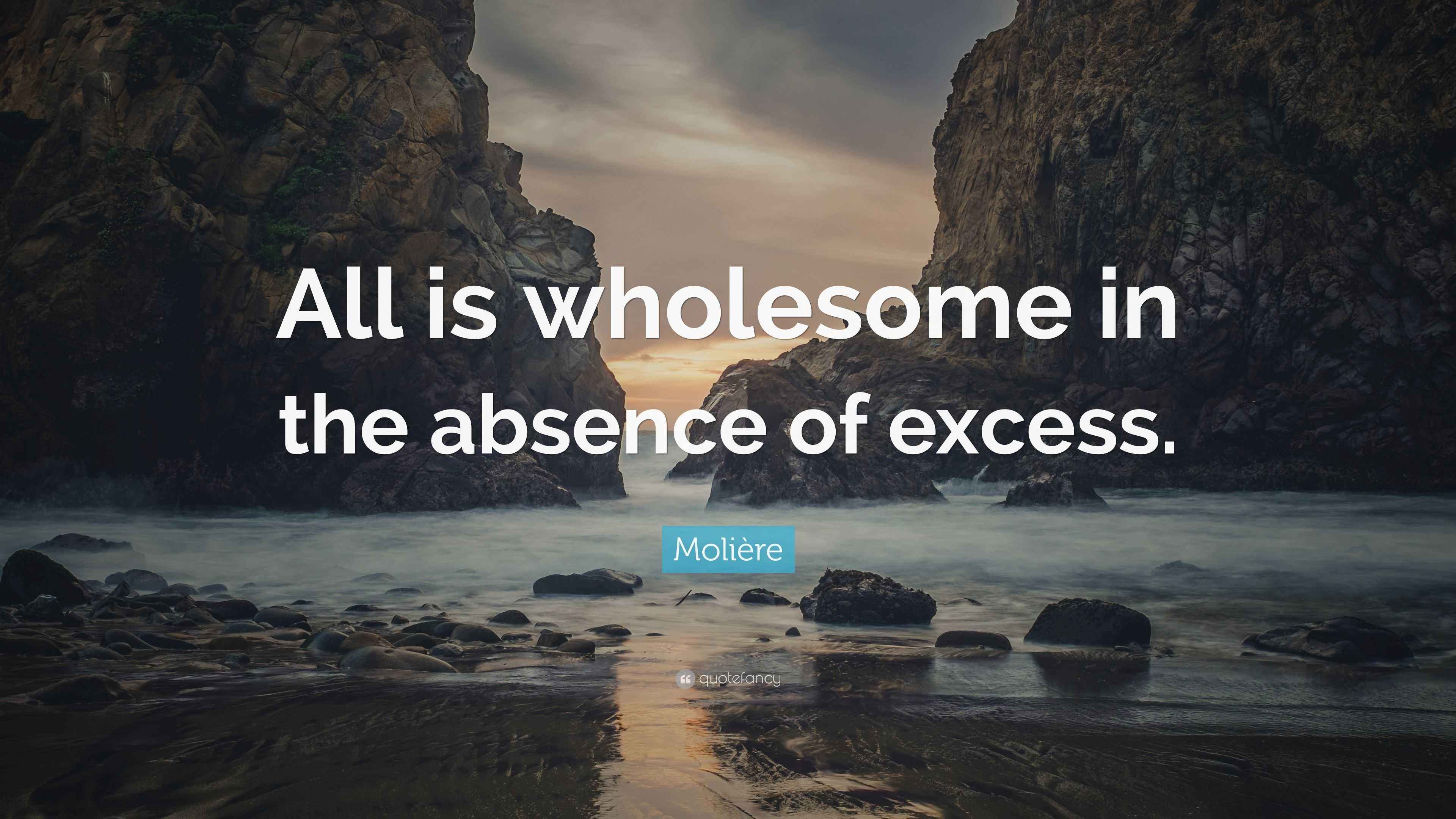 Molière Quote: “All is wholesome in the absence of excess.”