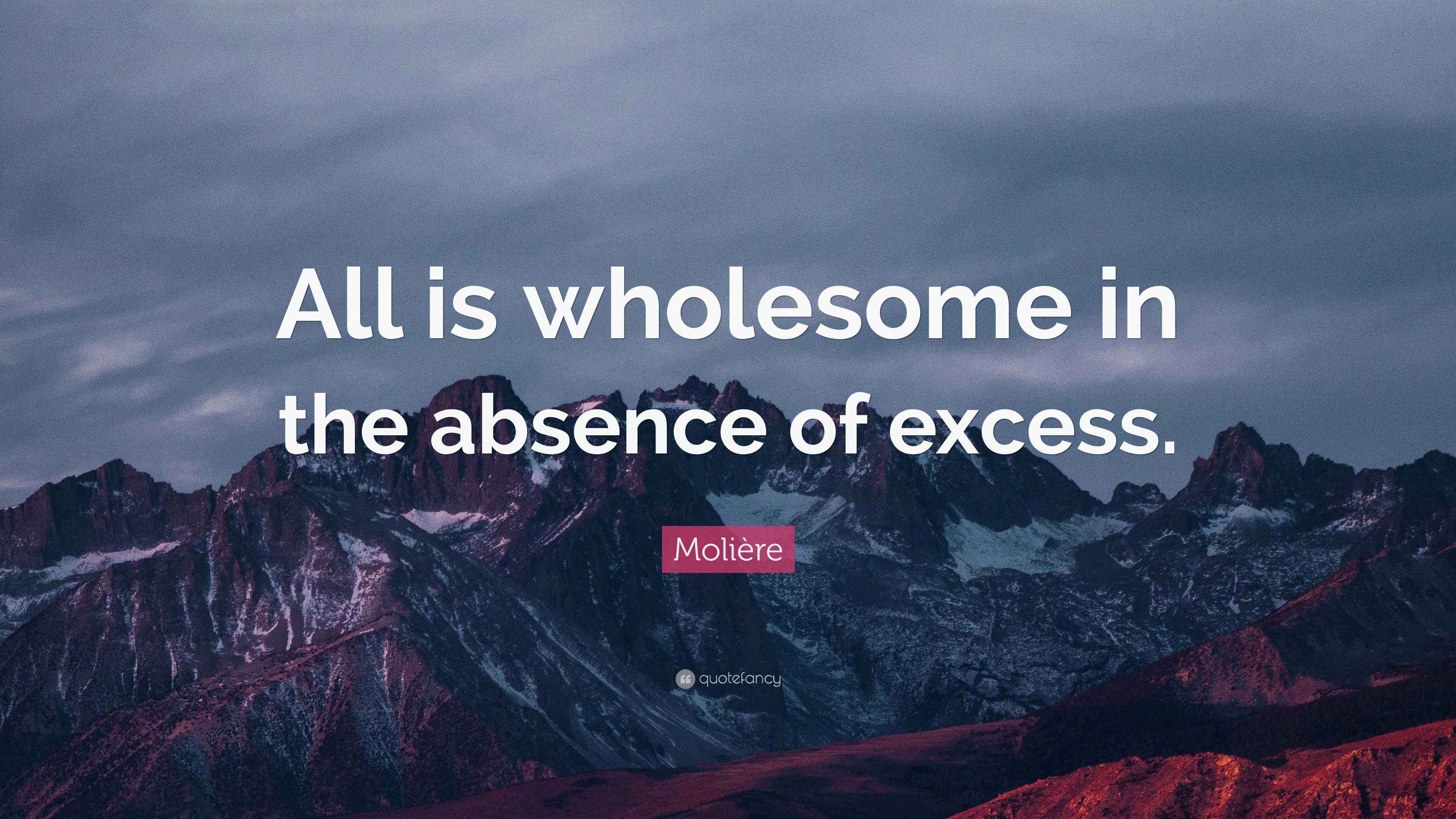 Molière Quote: “All is wholesome in the absence of excess.”