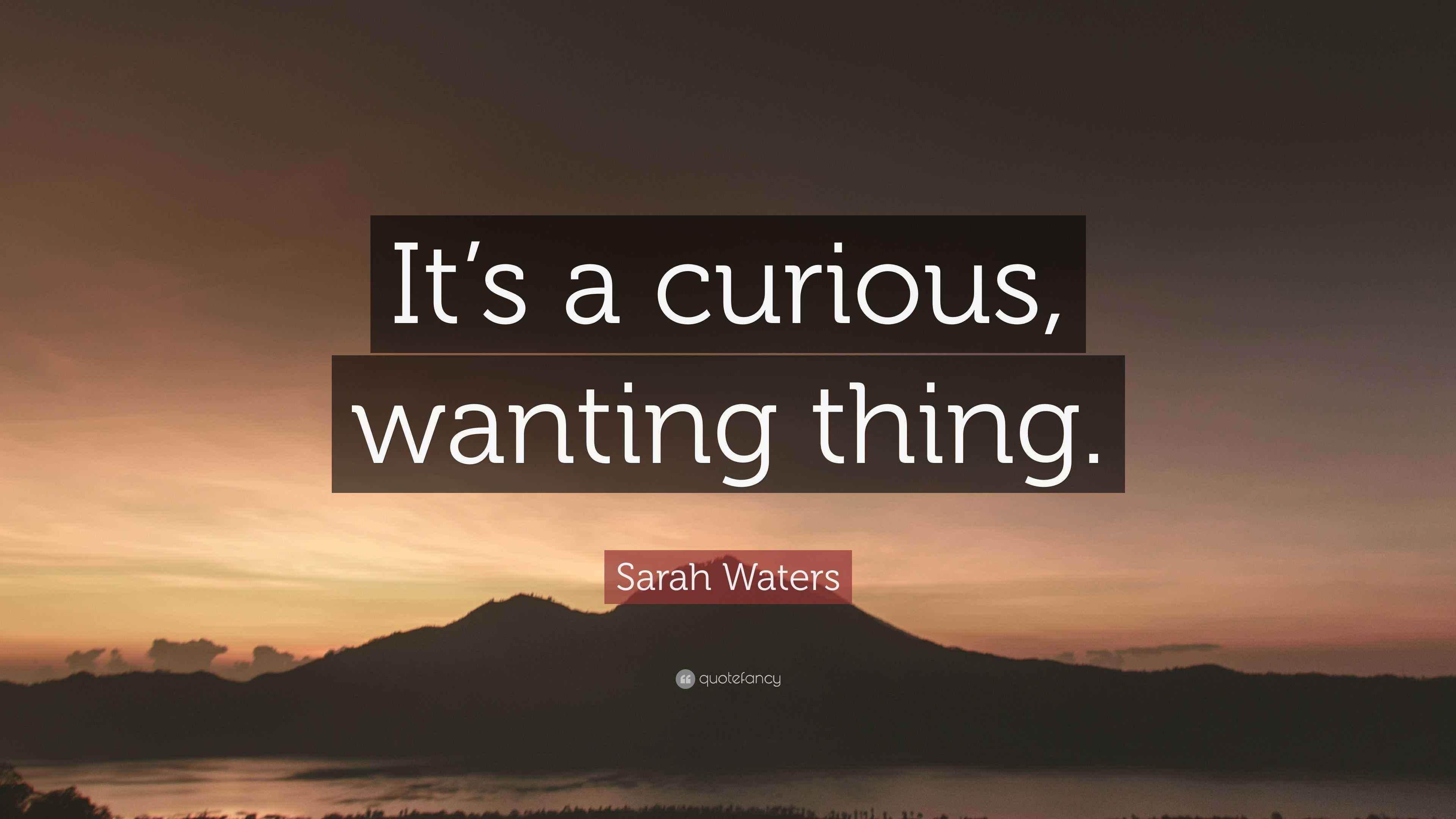 Sarah Waters Quote: “It’s a curious, wanting thing.”