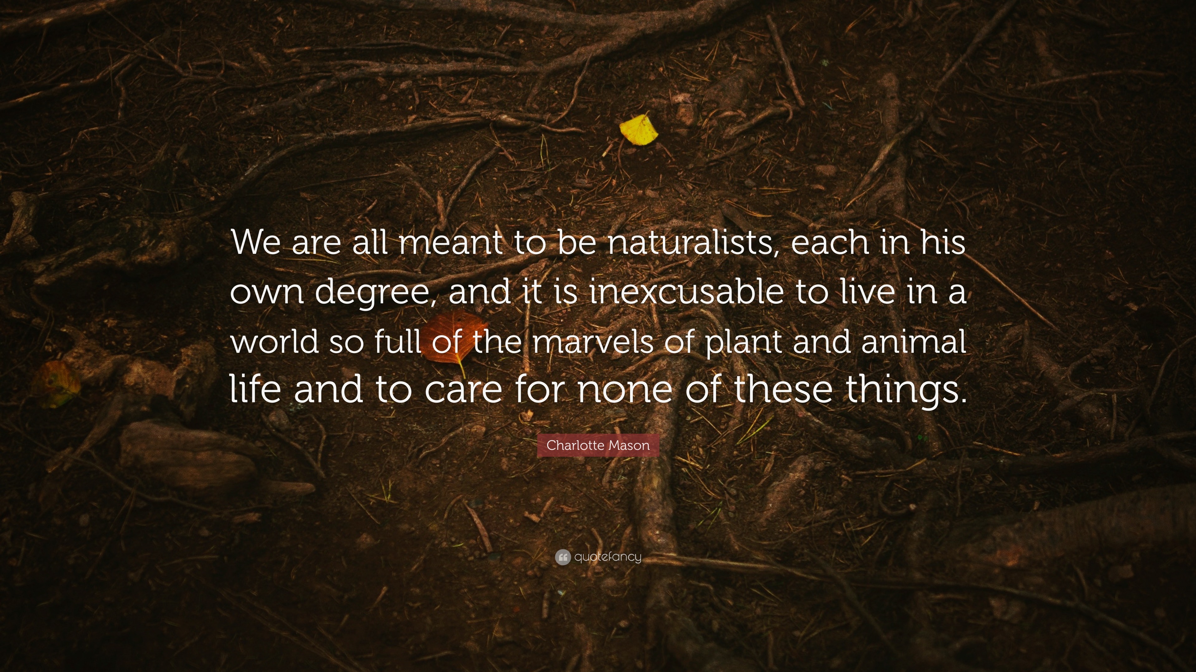 Charlotte Mason Quote: “We are all meant to be naturalists, each in his ...