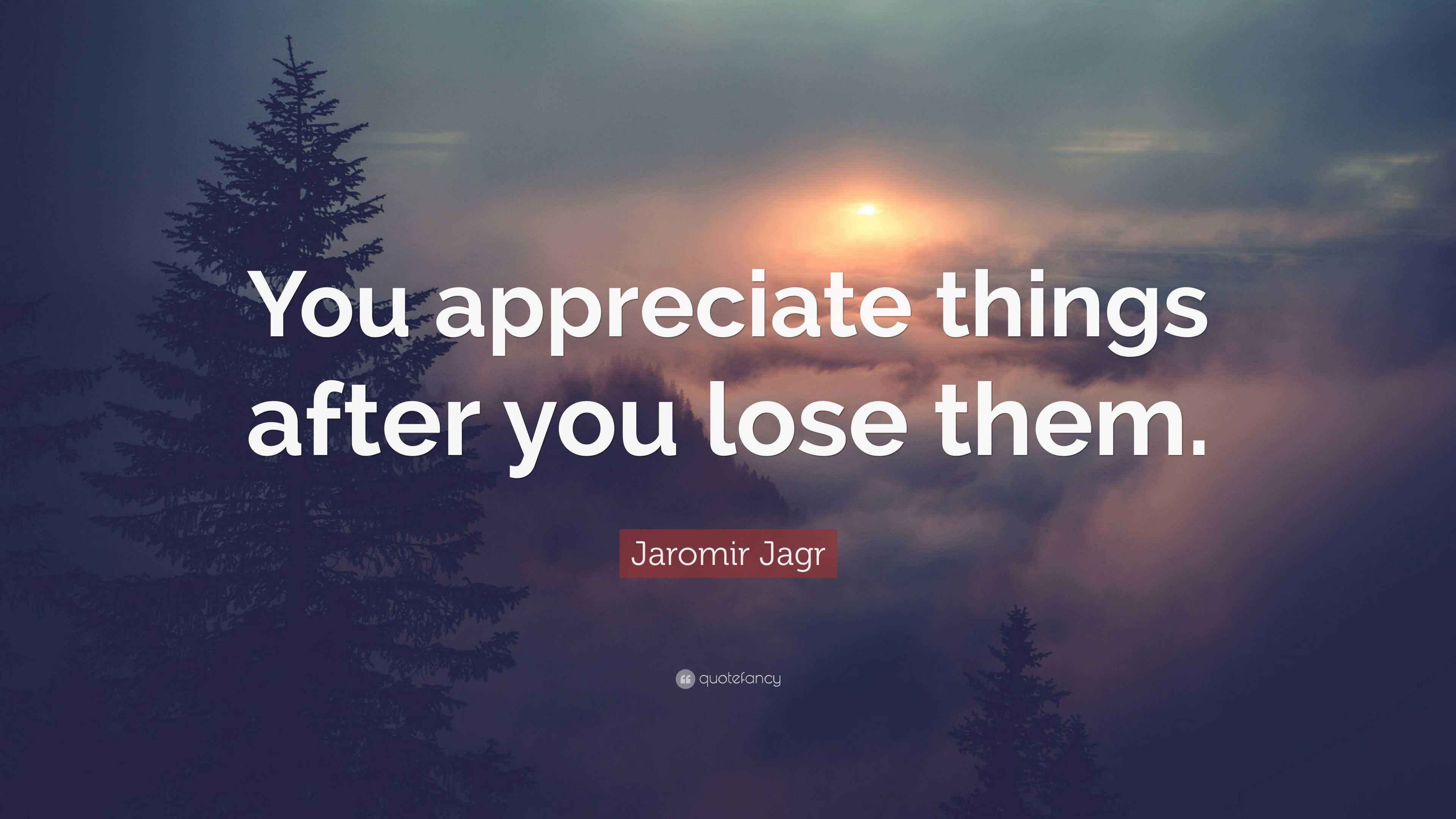 Jaromir Jagr Quote: “You appreciate things after you lose them.”