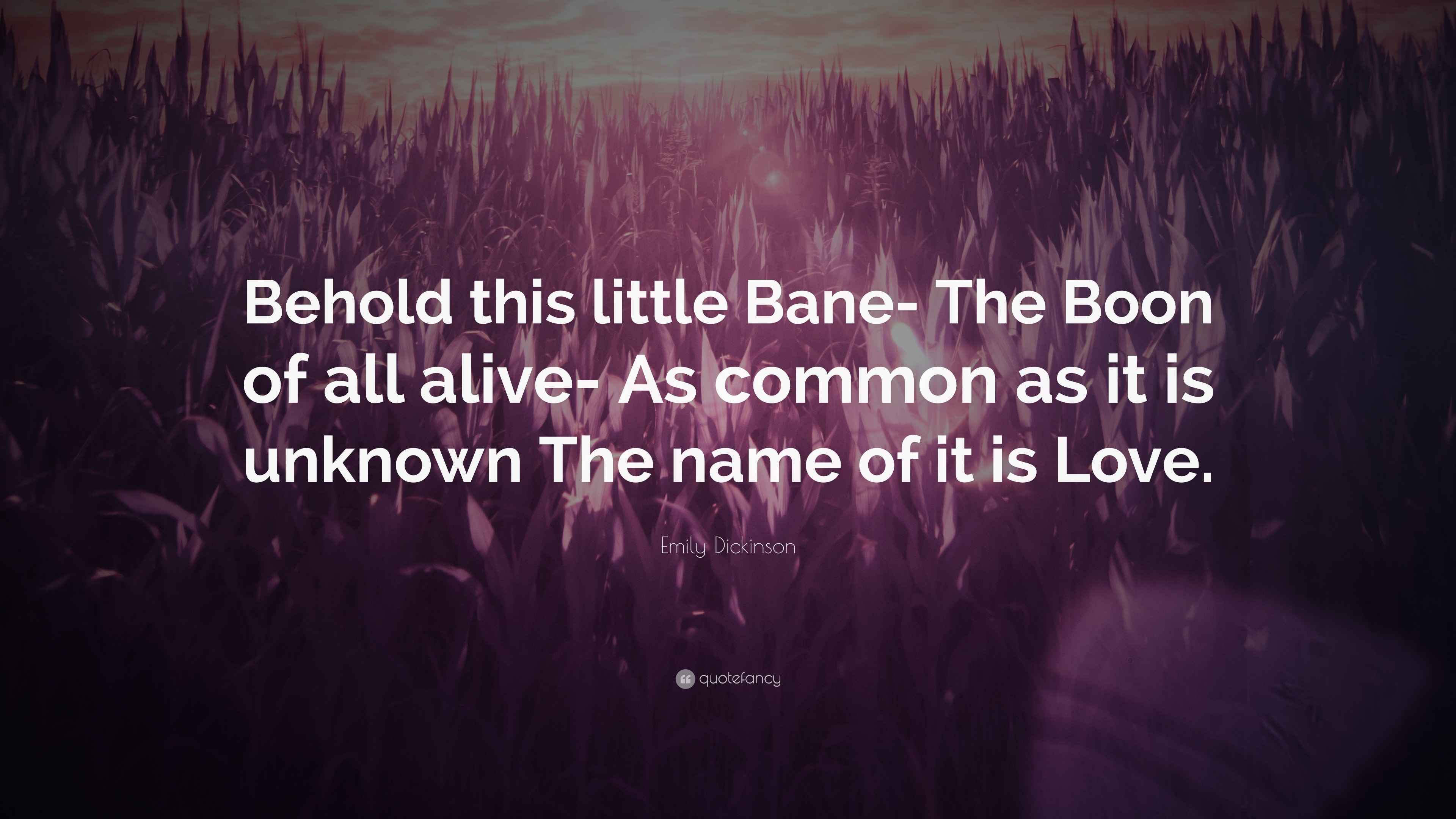 Emily Dickinson Quote: “Behold this little Bane- The Boon of all alive ...