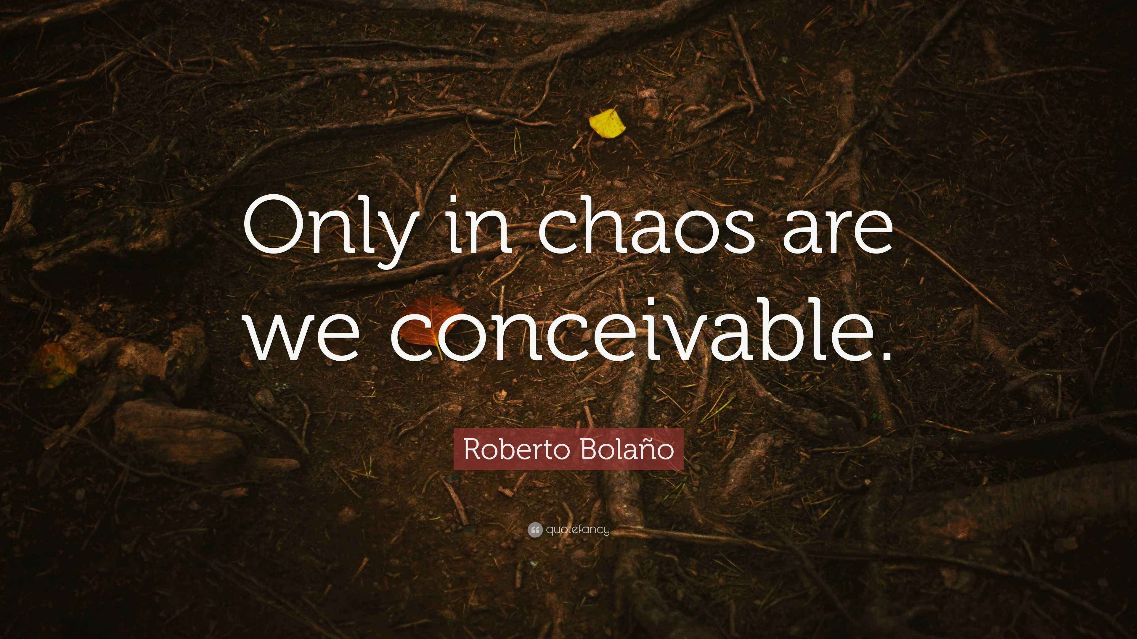 Roberto Bolaño Quote: “Only in chaos are we conceivable.”