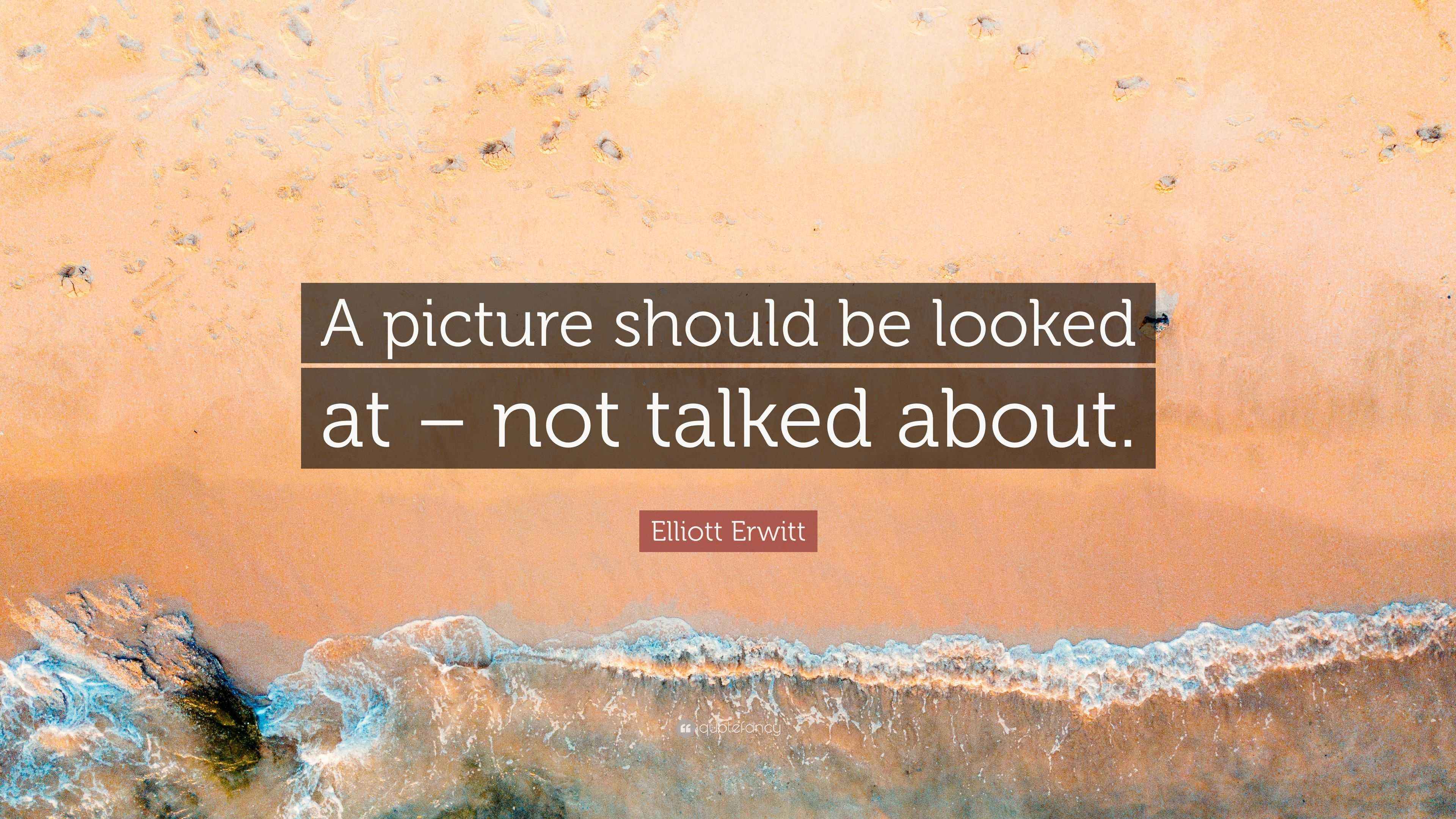 Elliott Erwitt Quote: “A picture should be looked at – not talked about.”