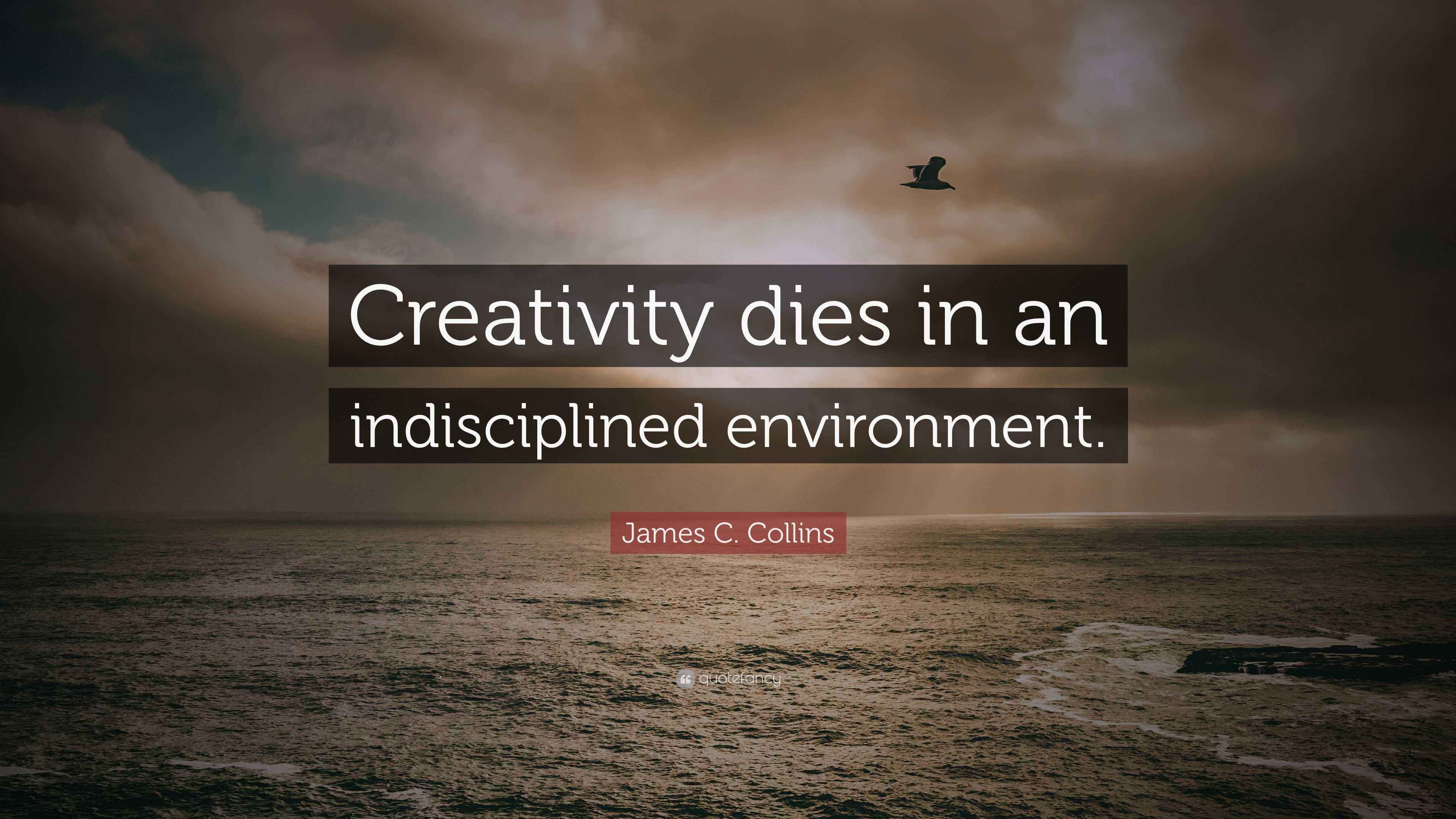 James C. Collins Quote: “Creativity dies in an indisciplined environment.”